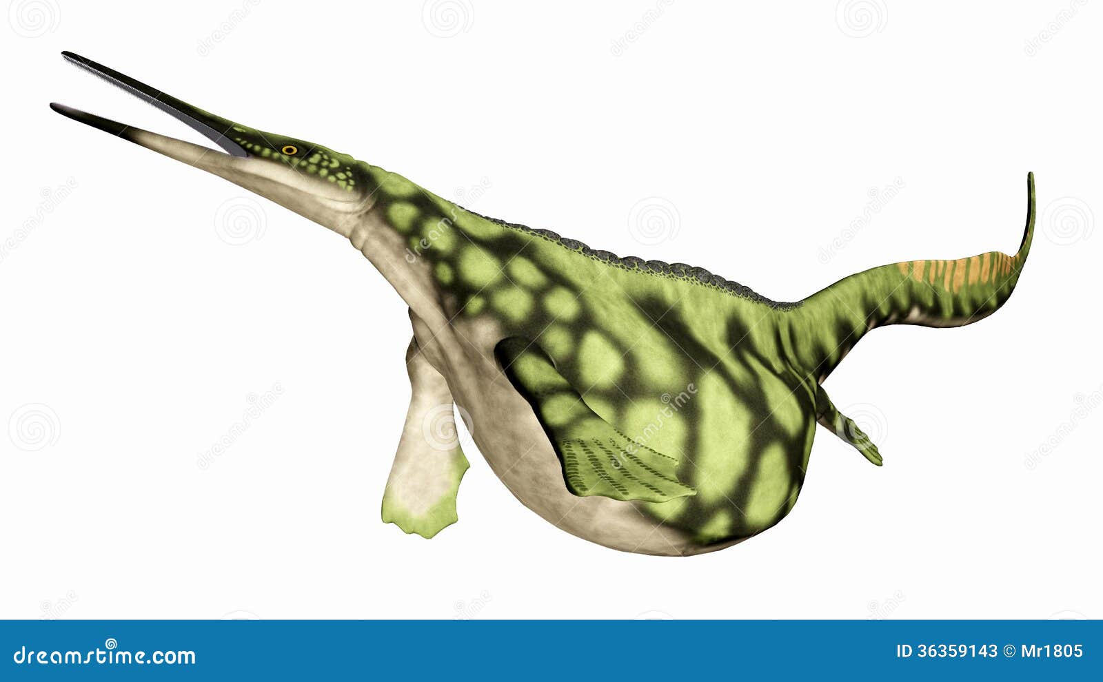 Marine Reptile Hupehsuchus stock illustration. Illustration of extinct ...