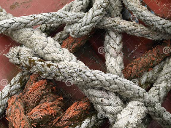 Marine Rope stock image. Image of twist, fishing, thread - 20768275