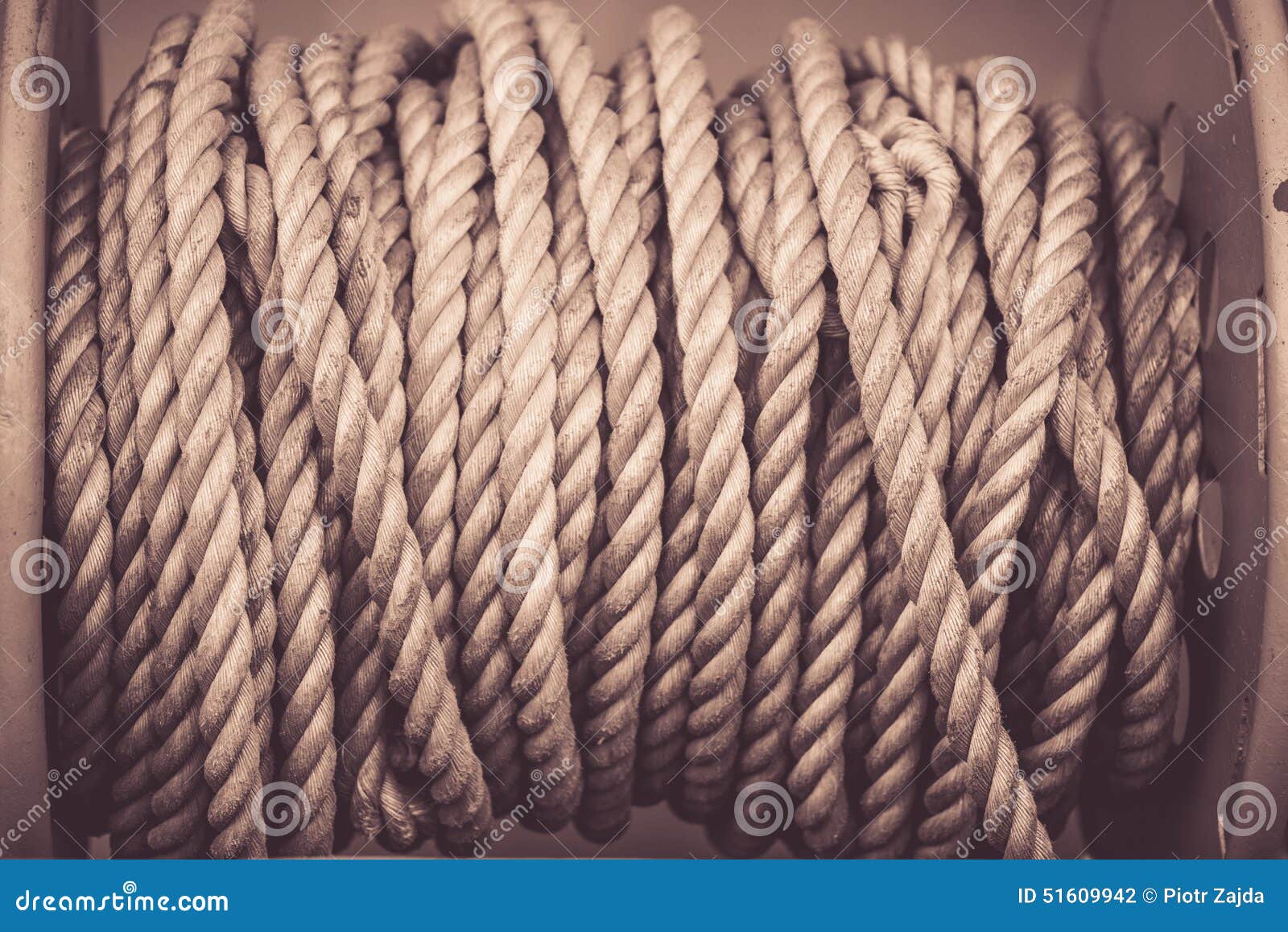 Marine Rope With Sea Shells Royalty-Free Stock Image | CartoonDealer ...