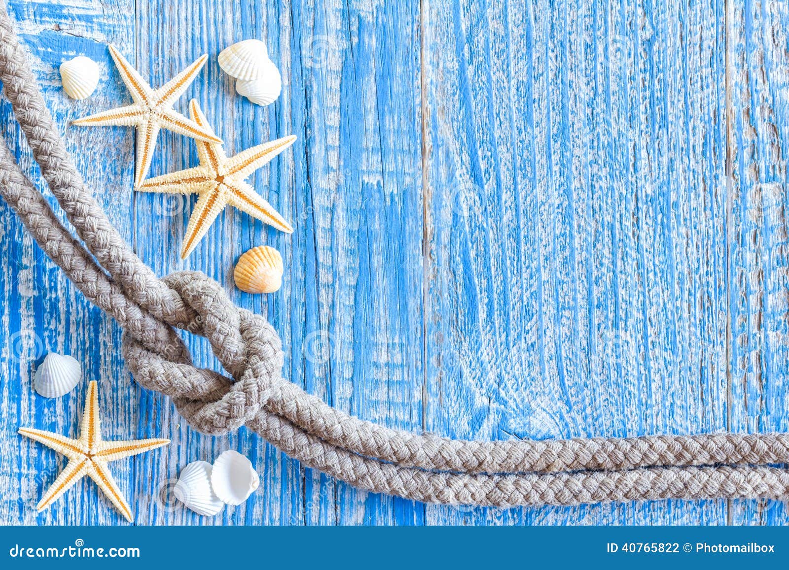 Marine Rope with Sea Shells Stock Photo - Image of design, marine: 40765822