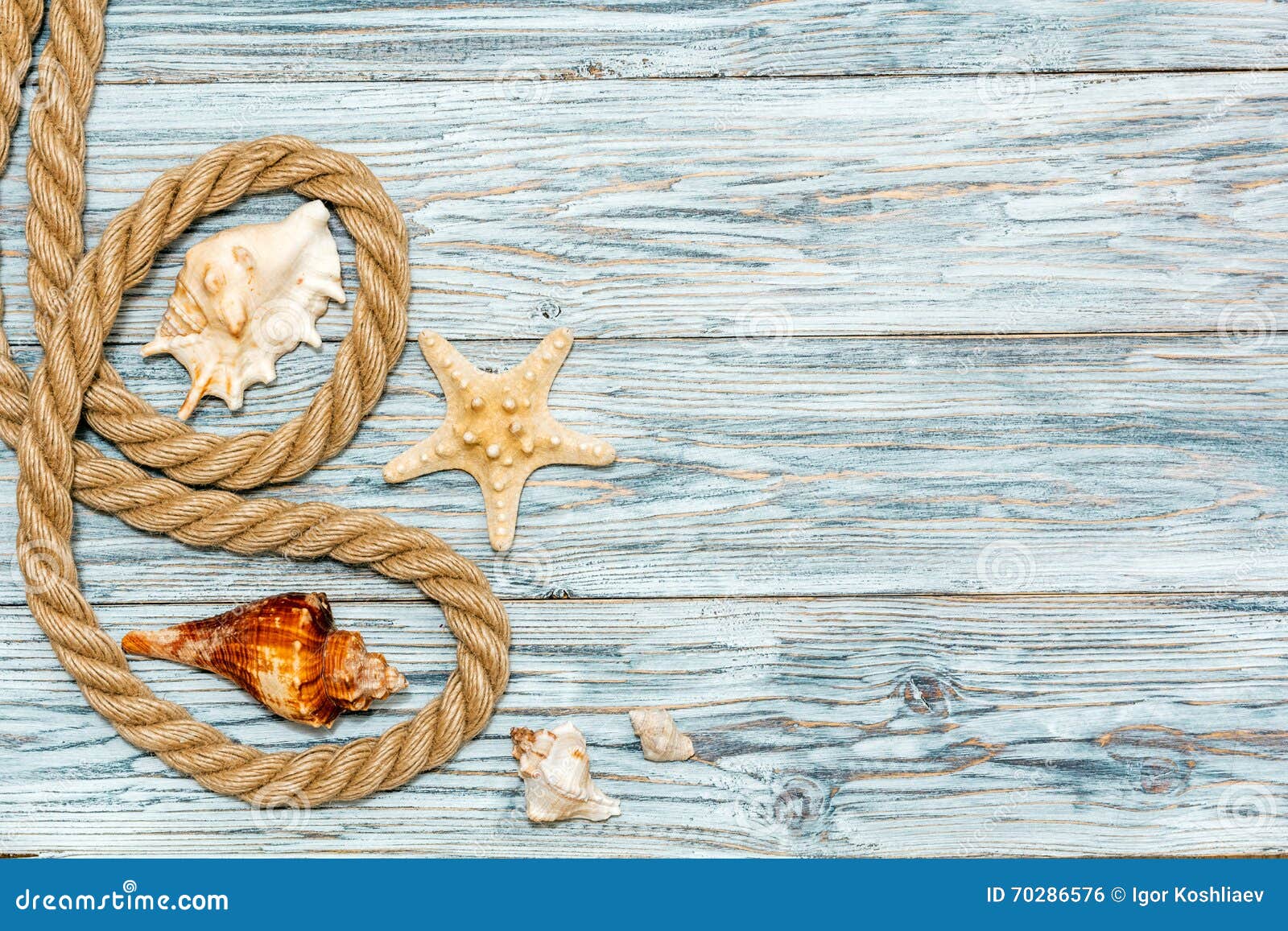 Marine Rope and Starfish on White Boards Stock Photo - Image of shell ...