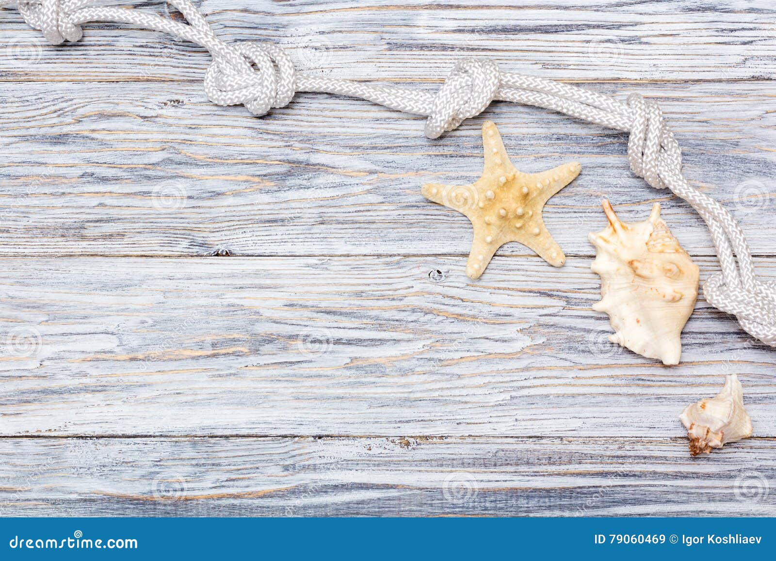 Marine Rope and Starfish on White Boards Stock Image - Image of color ...