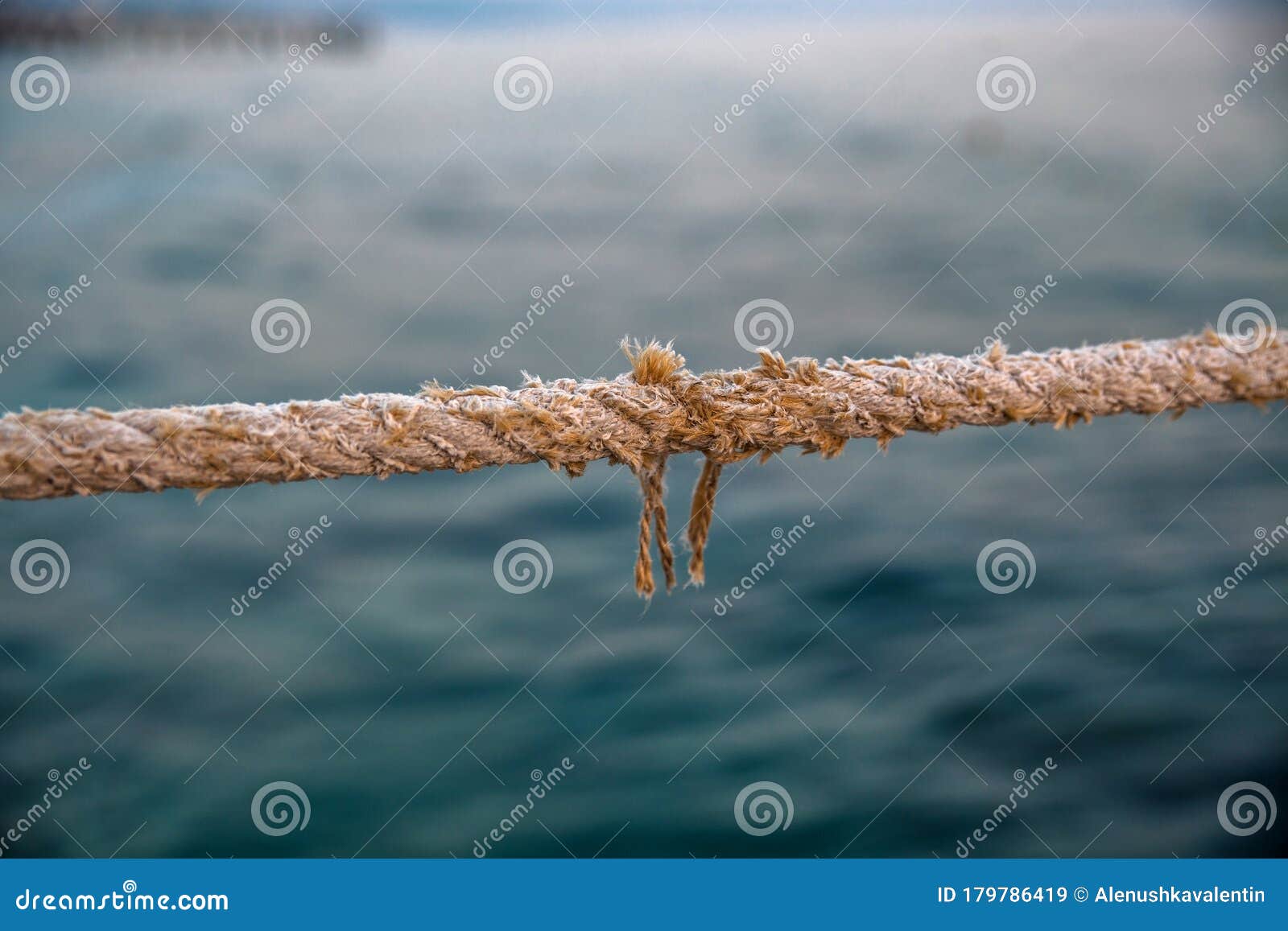 Marine ropes at pier stock image. Image of ocean, water - 179786419