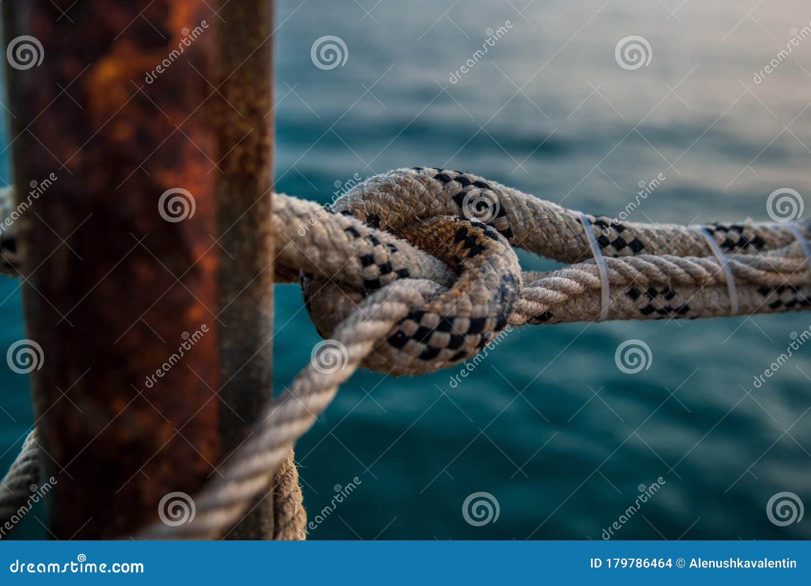 Marine ropes at pier stock photo. Image of line, port - 179786464