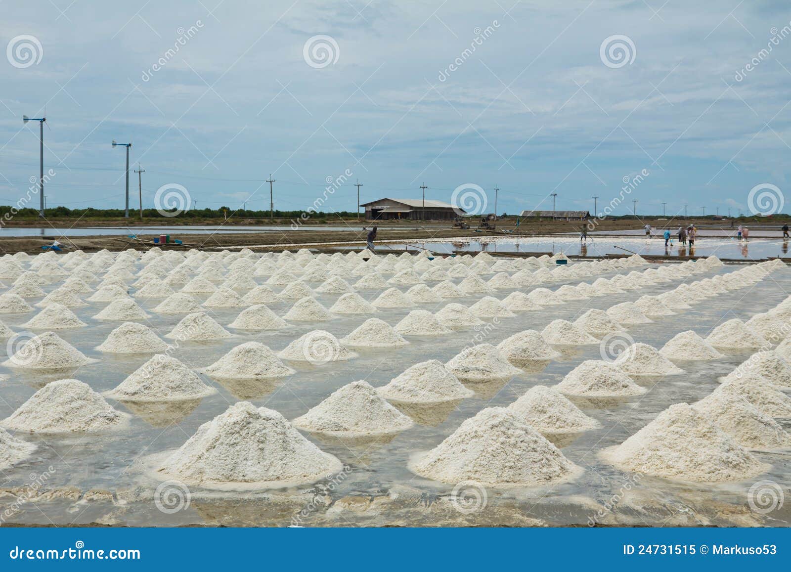 Marine salt farm stock image. Image of harvesting, production - 24731515