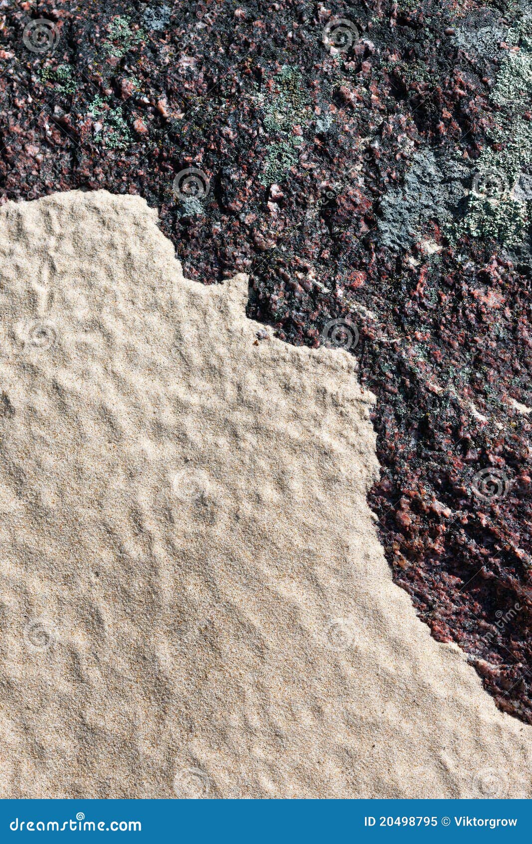 Marine Sand Covered Rock on the Beach Stock Image - Image of stone ...