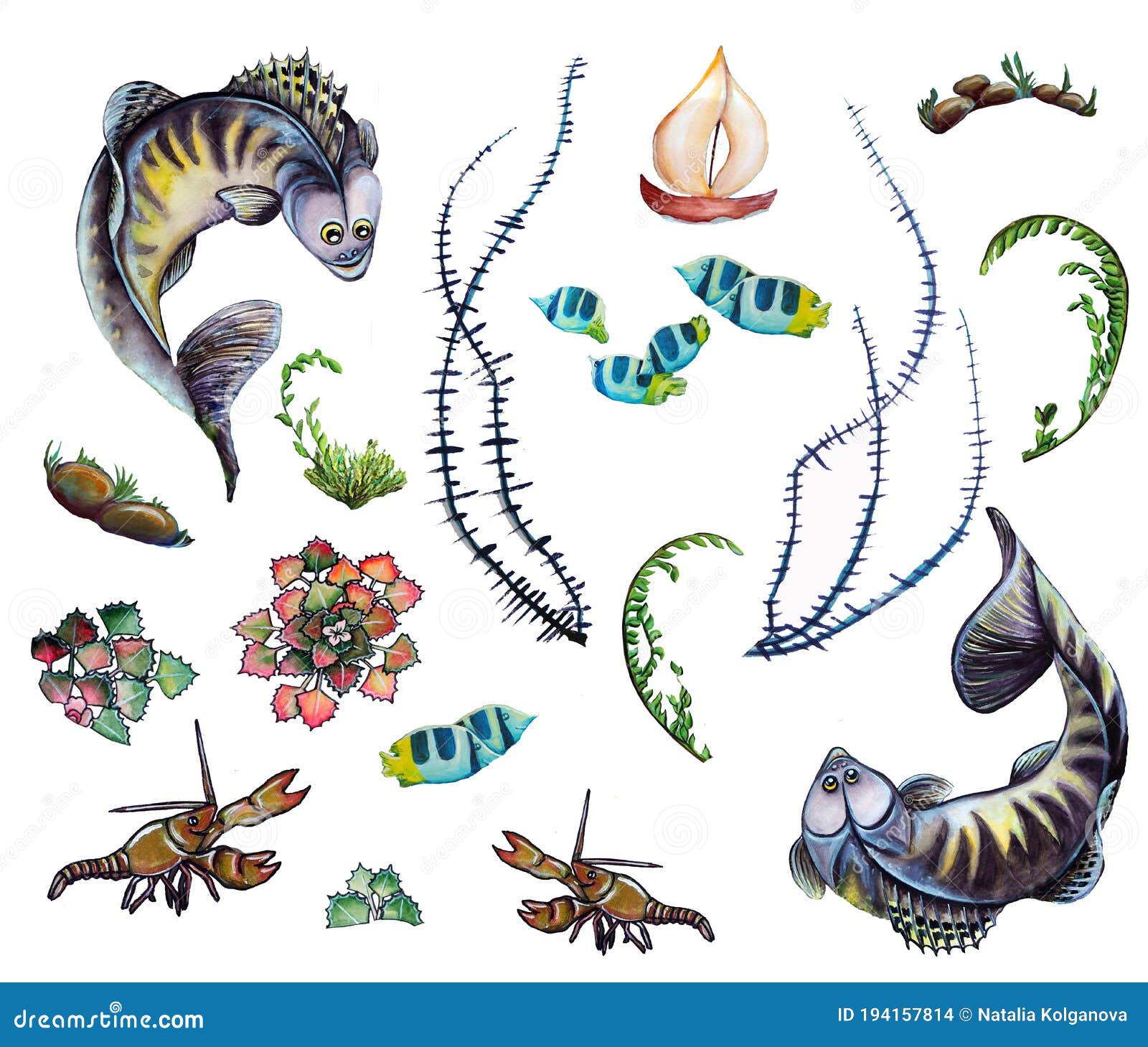 Marine Set of Fish and Algae Stock Illustration - Illustration of ...