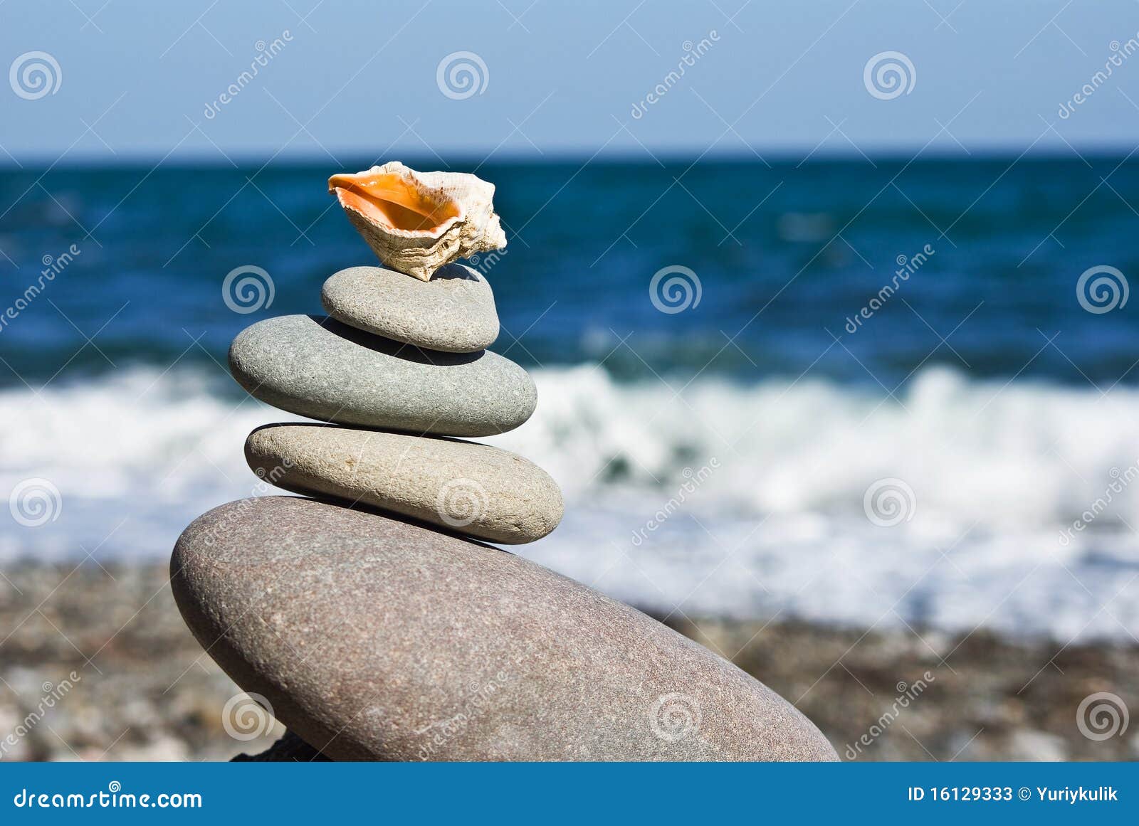 Marine Shell on a Heap of Stones Stock Image - Image of macro, stone ...