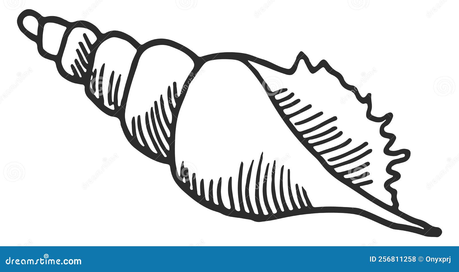 Marine Shell Icon. Conch Sketch. Beach Symbol Vector Illustration ...
