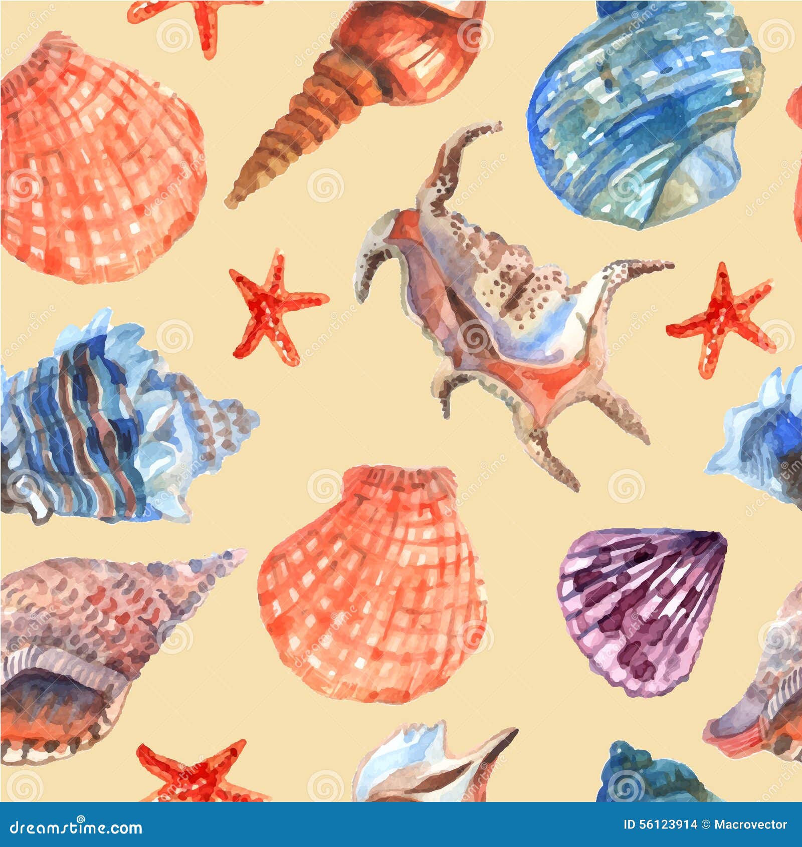 Marine Shell Seamless Pattern Stock Vector - Illustration of decorative ...