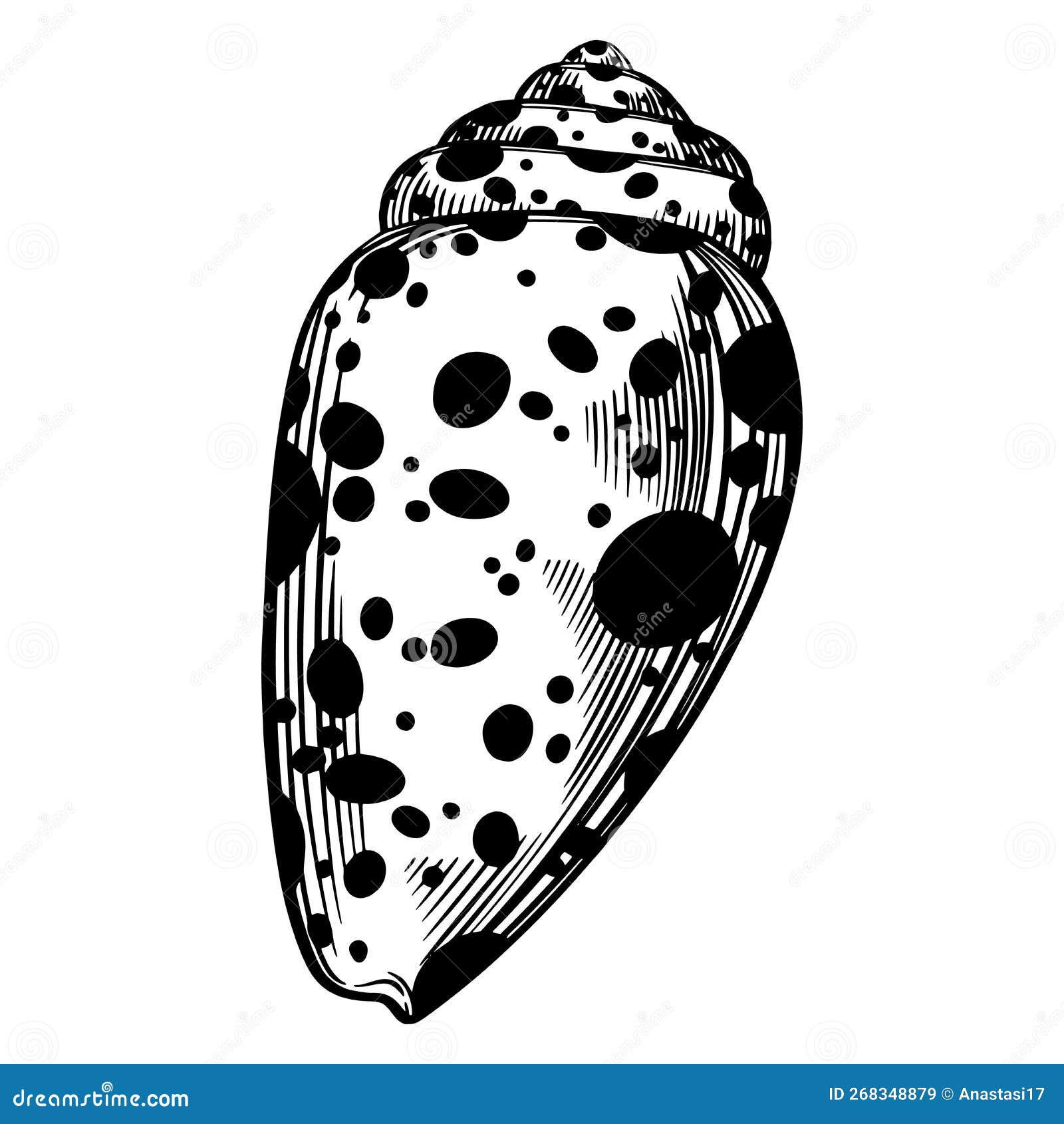 Marine Spiral Seashell For Design Of Invitation, Fabric, Textile, Etc ...