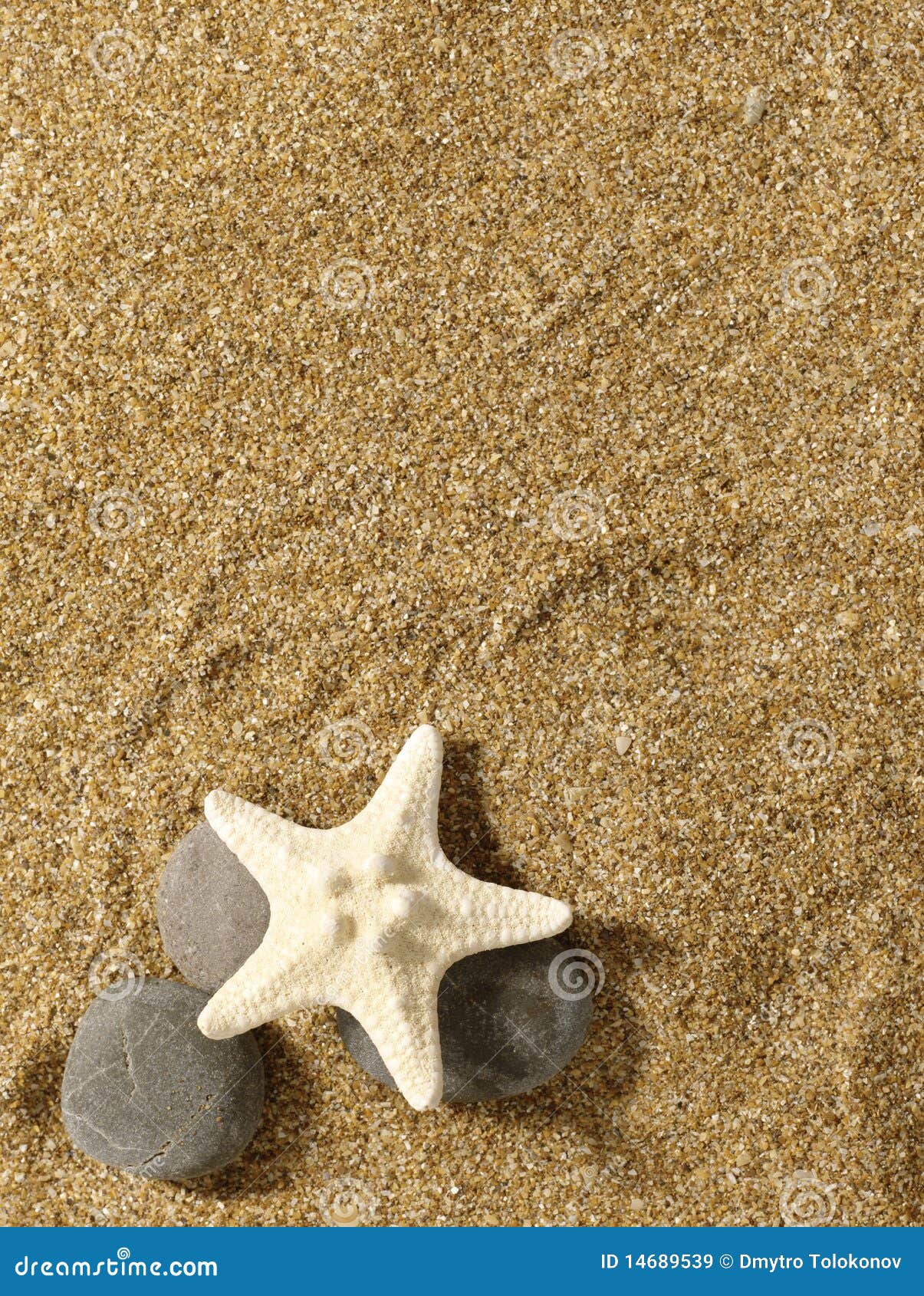 Marine still life stock image. Image of seashell, island - 14689539