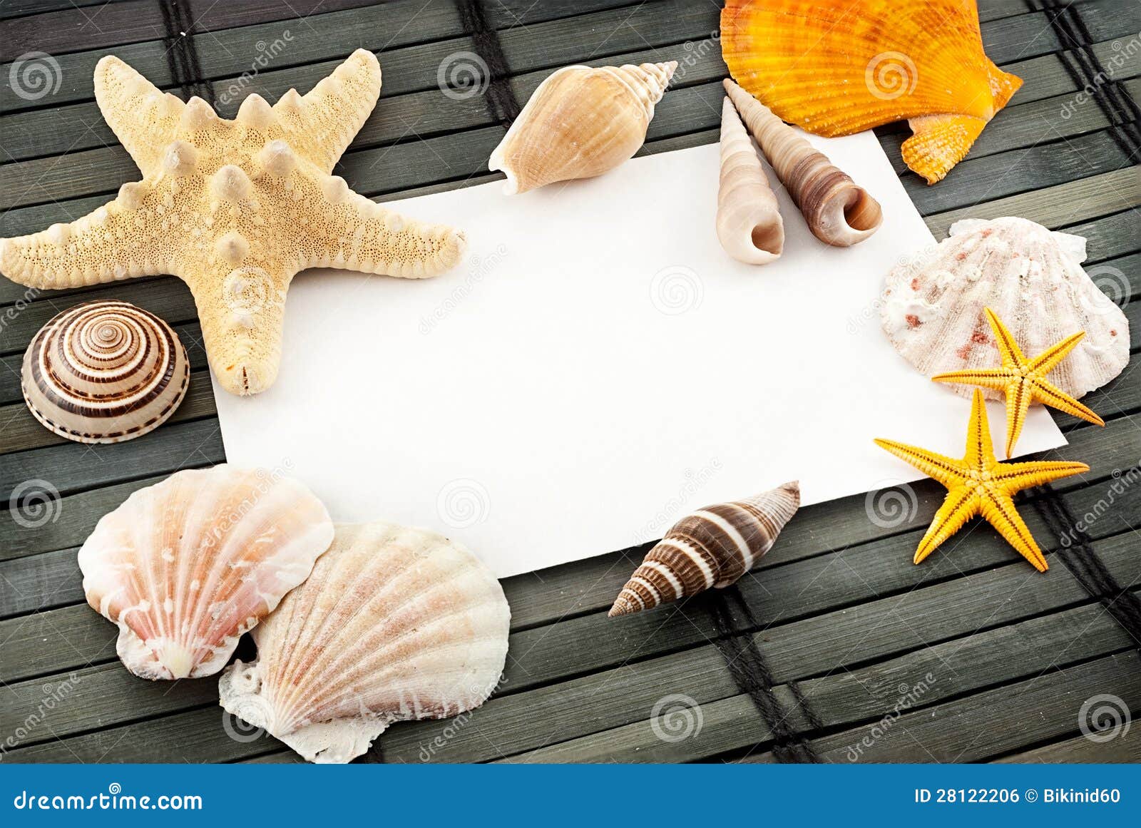 Marine still life. stock photo. Image of holiday, sail - 28122206