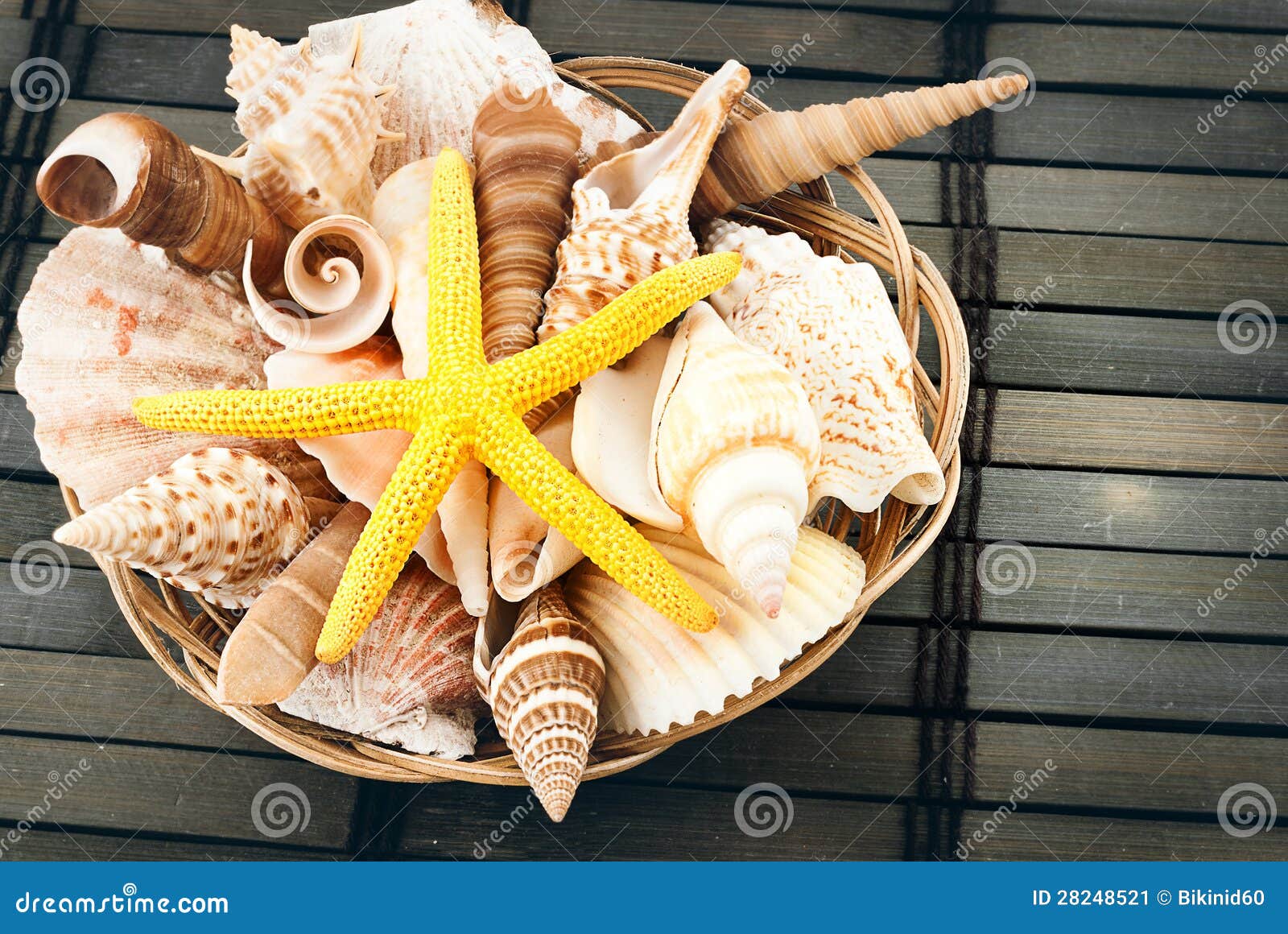 Marine still life. stock image. Image of collection, surface - 28248521