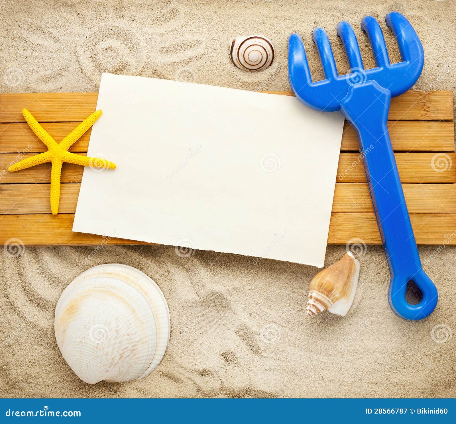 Marine still life. stock image. Image of sealife, closeup - 28566787