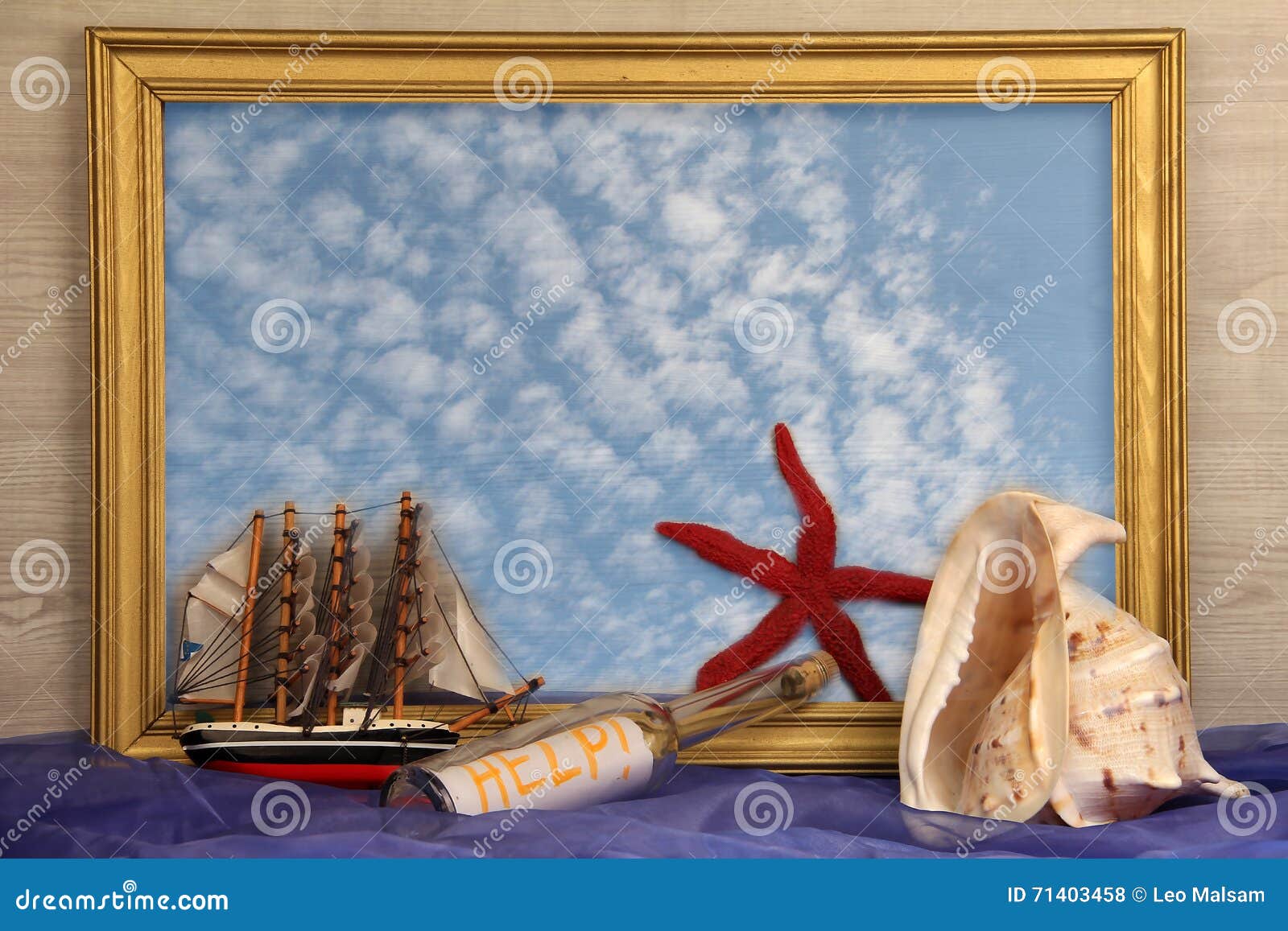 Marine still life stock photo. Image of nature, composition - 71403458