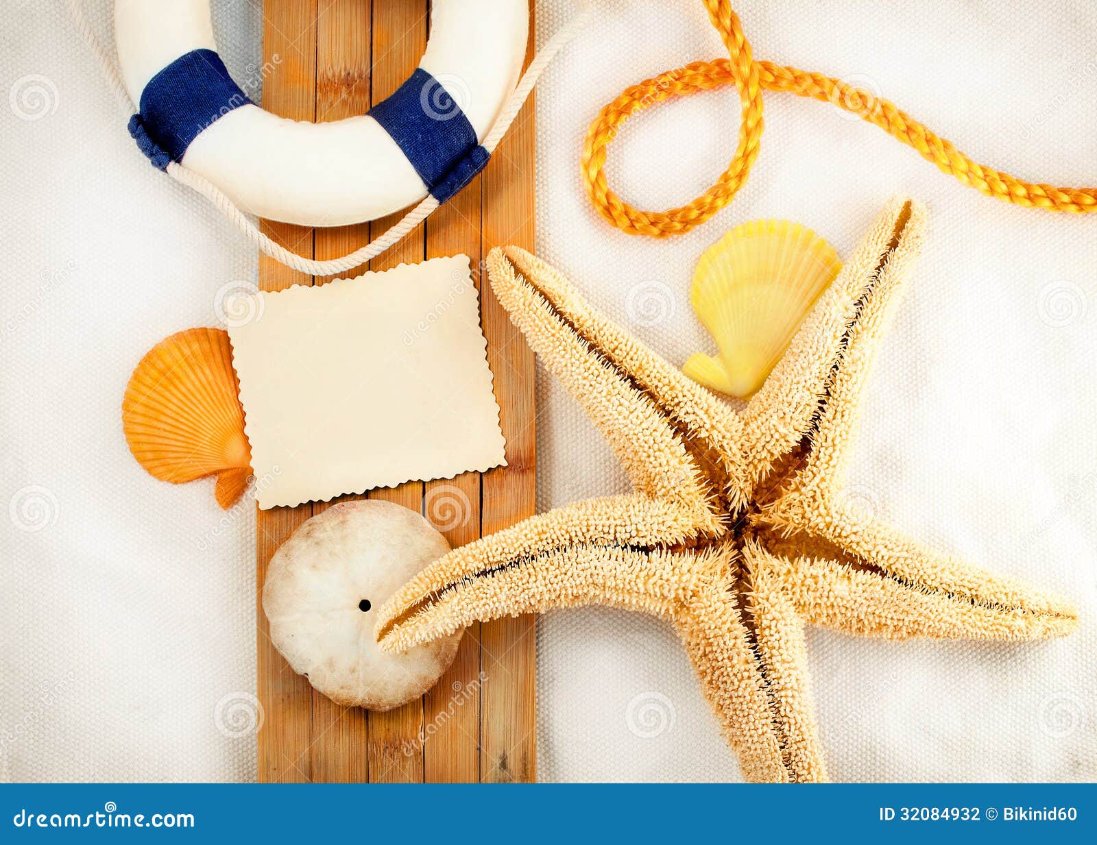 Marine still life. stock photo. Image of seastar, seashell - 32084932