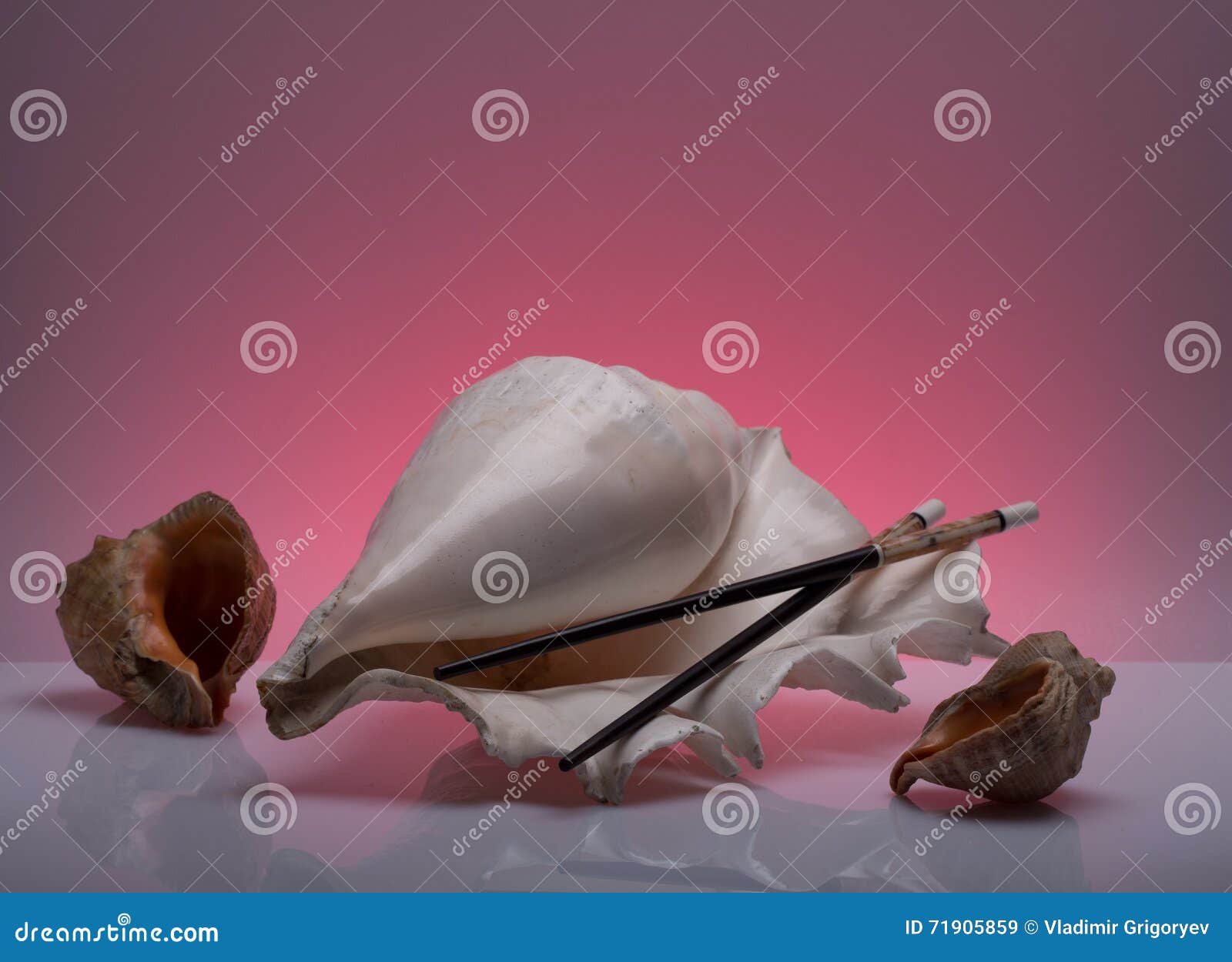 Marine still life stock image. Image of stilllife, marine - 71905859