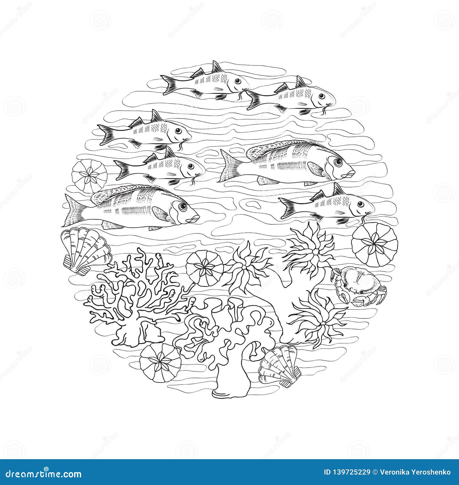 Marine-themed Circle Shape Design Element. Sea Creatures. Vector. Stock ...