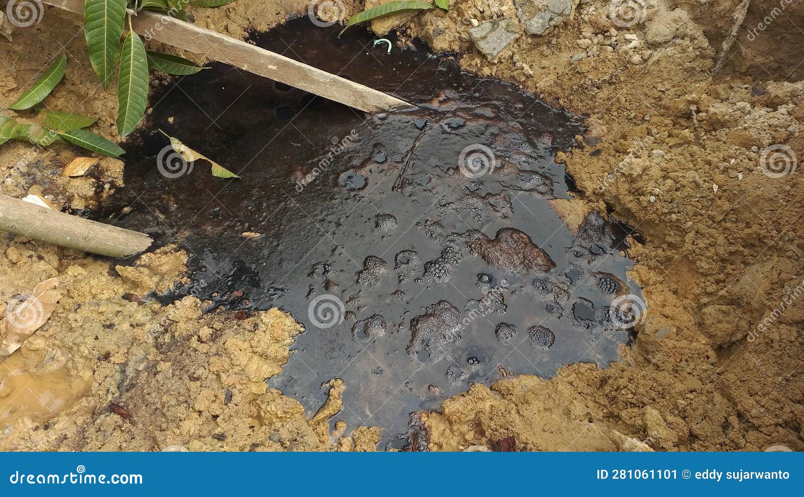 Marine Wood Sap Waste Scattered on the Ground Stock Image - Image of ...