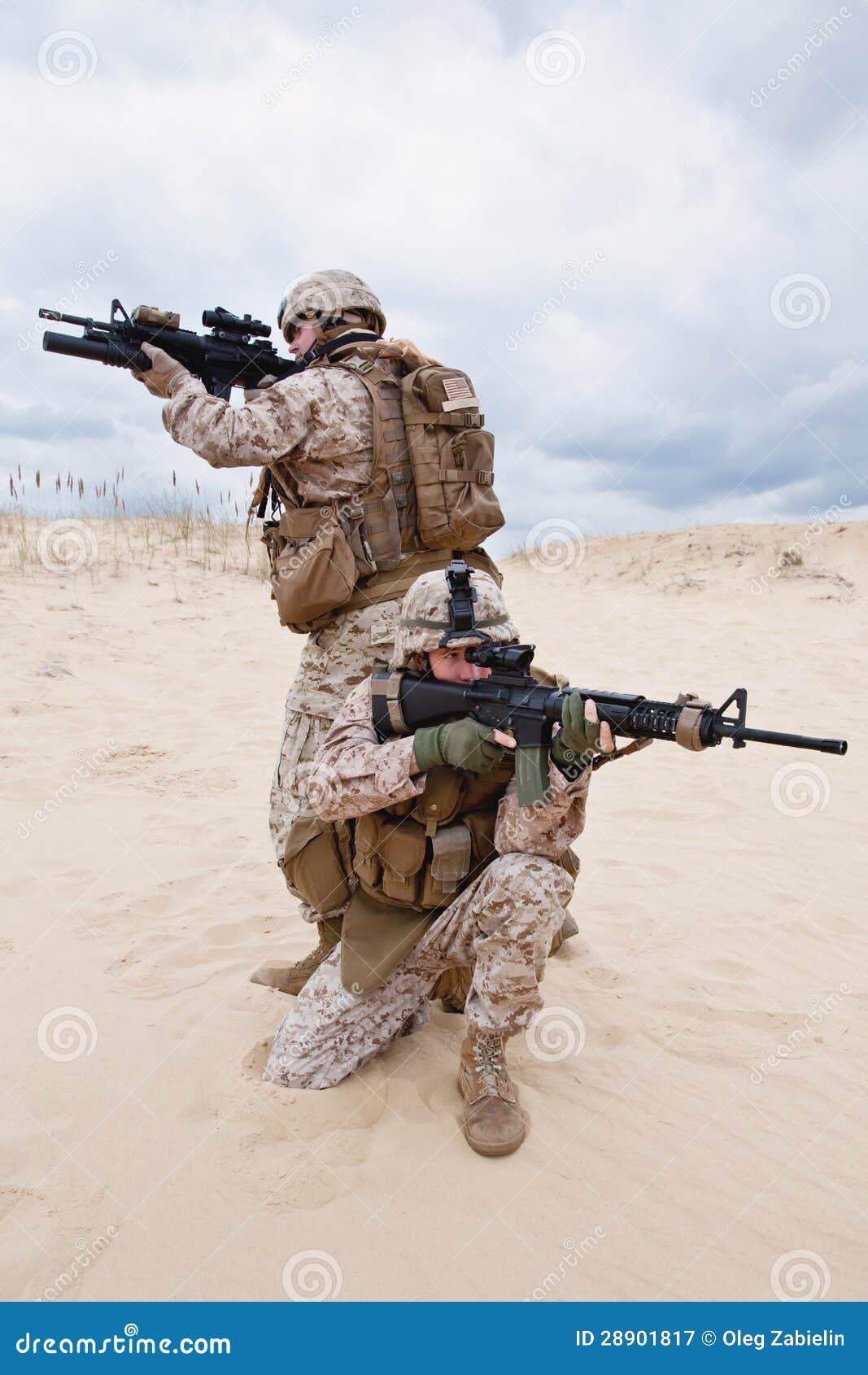 Marines des USA image stock. Image du commando, militaire - 28901817