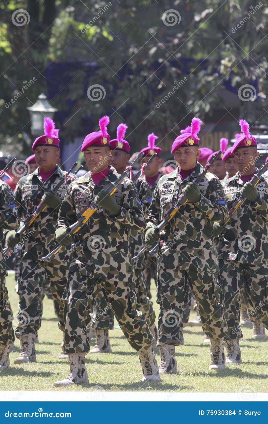 Marines parade editorial stock image. Image of marines - 75930384