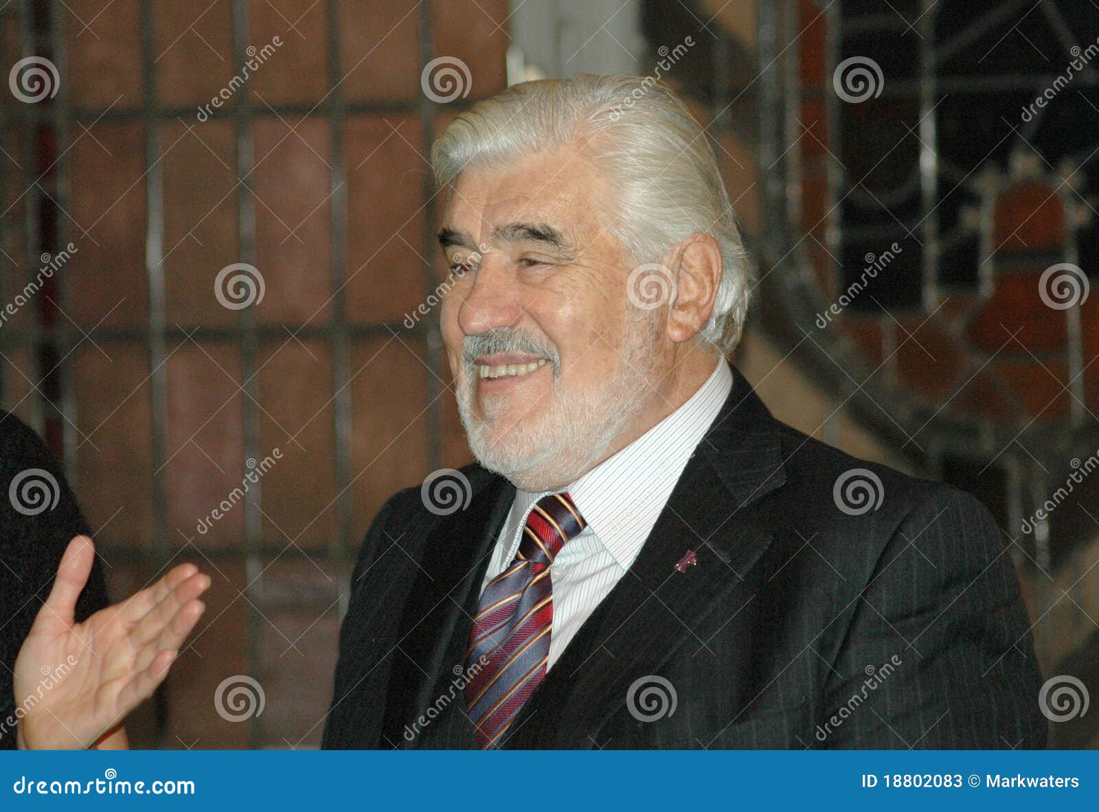 Mario Adorf editorial stock photo. Image of 2007, mitte - 18802083