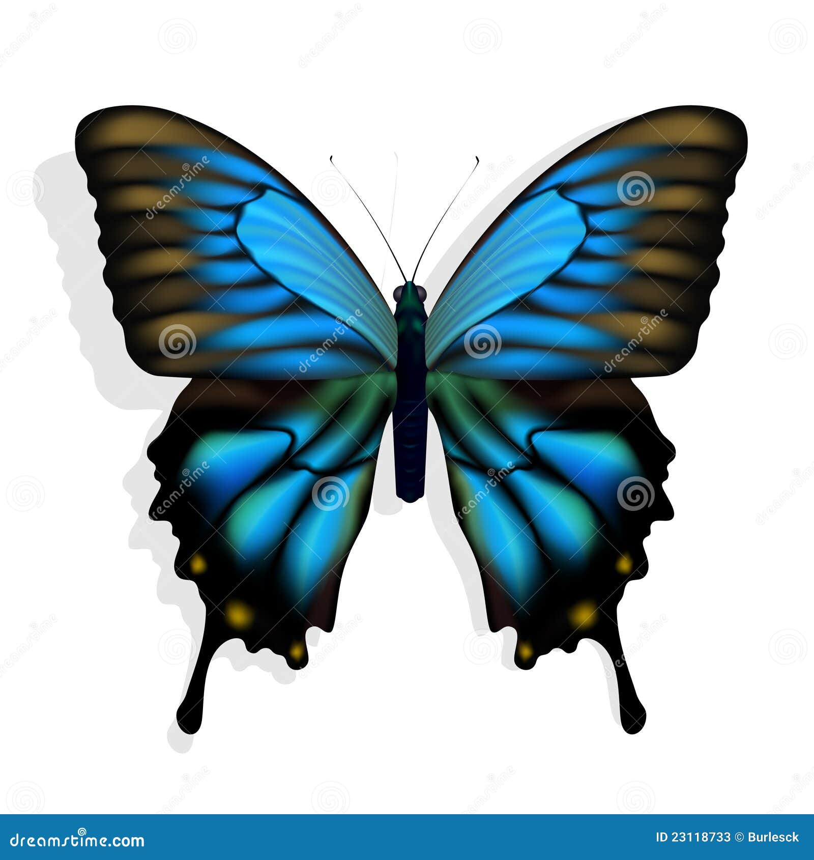 Mariposa azul ilustración del vector. Ilustración de azul - 23118733
