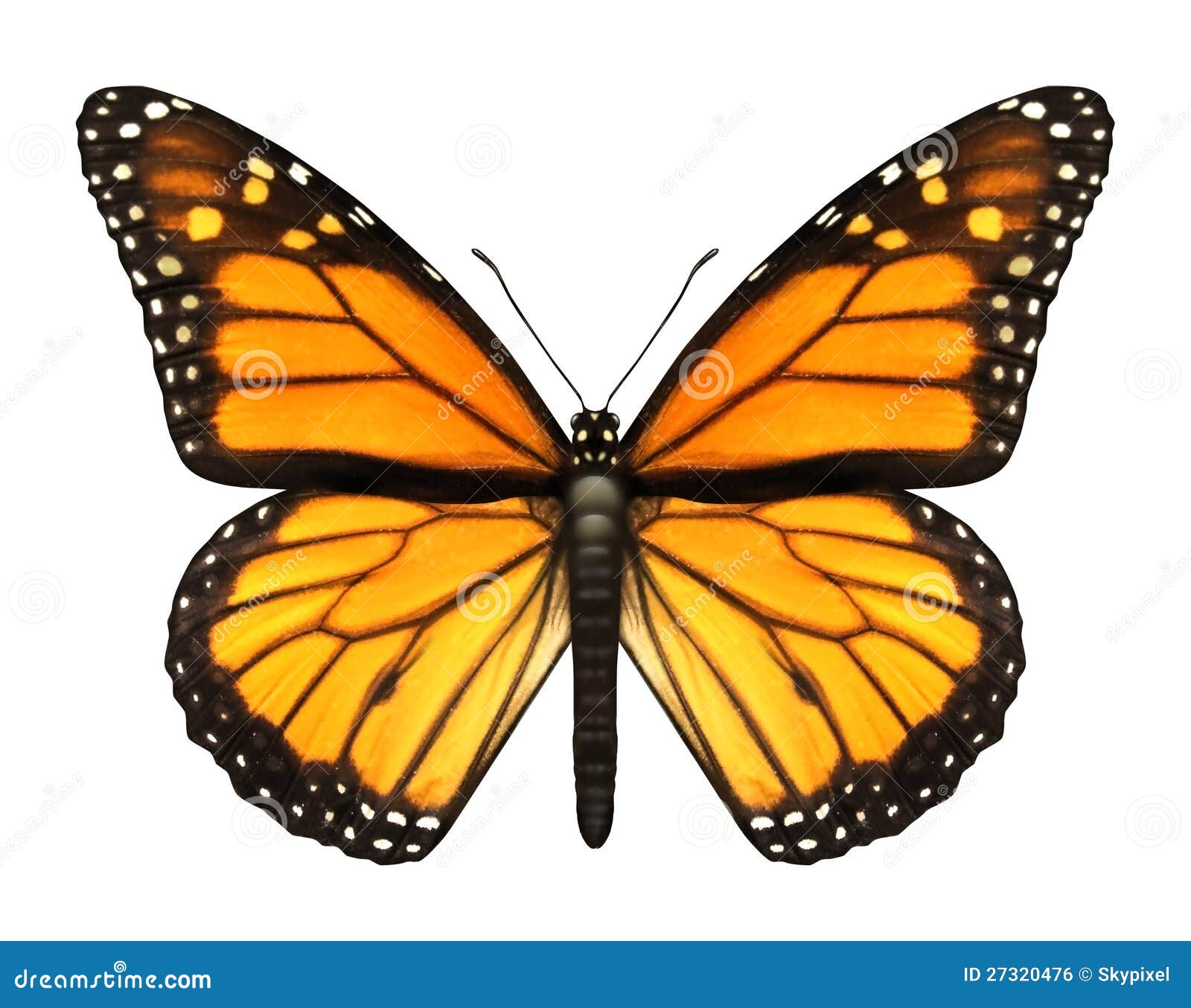 Mariposa de monarca foto de archivo. Imagen de anaranjado - 27320476