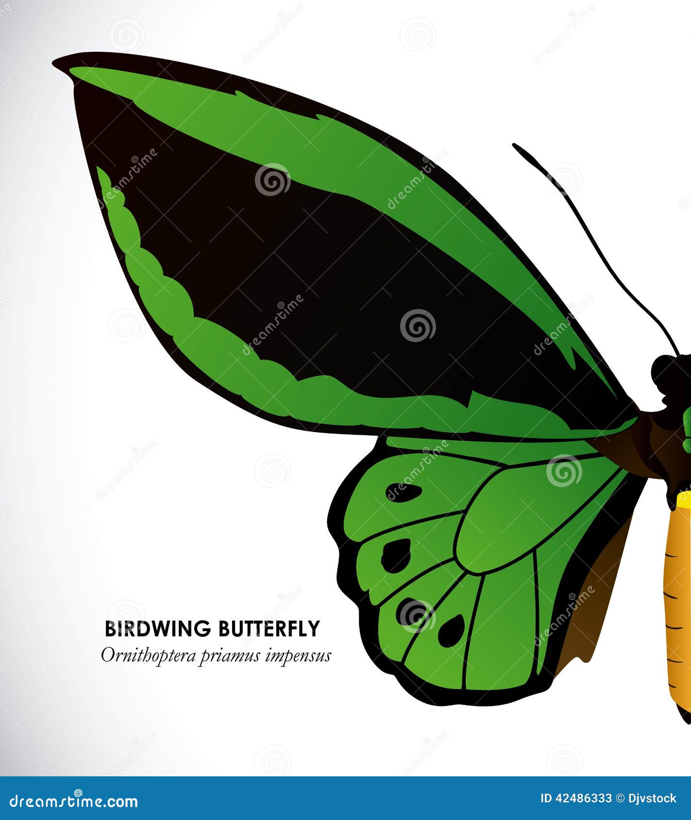 Mariposa Design ilustración del vector. Ilustración de resorte - 42486333