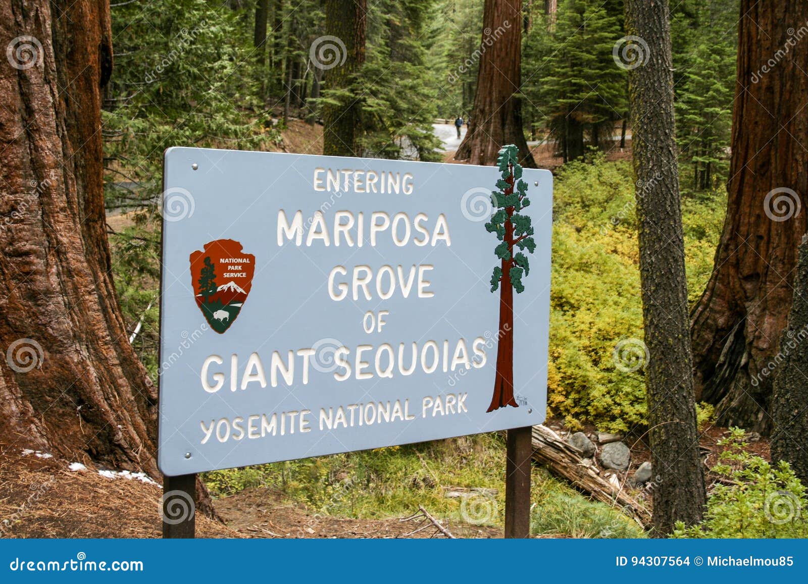 Mariposa Grove Sign stock photo. Image of coast, massive - 94307564