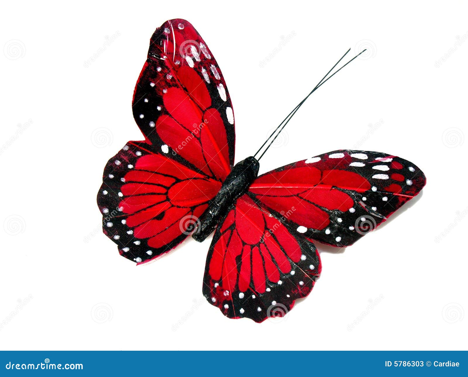 Mariposa Roja Fotos de archivo - Imagen: 5786303