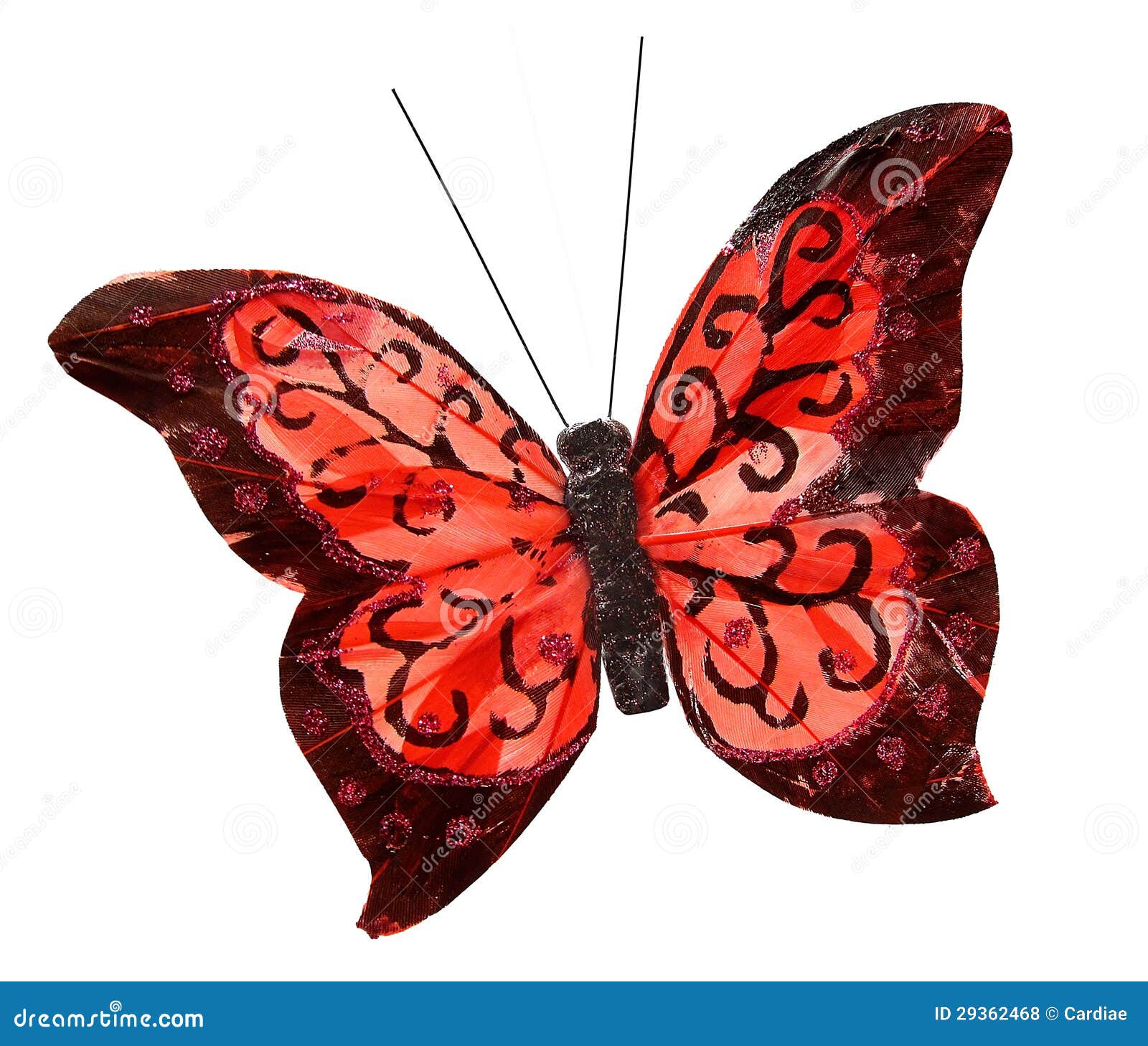 Mariposa Roja Hermosa En Blanco Foto de archivo - Imagen de elementos ...