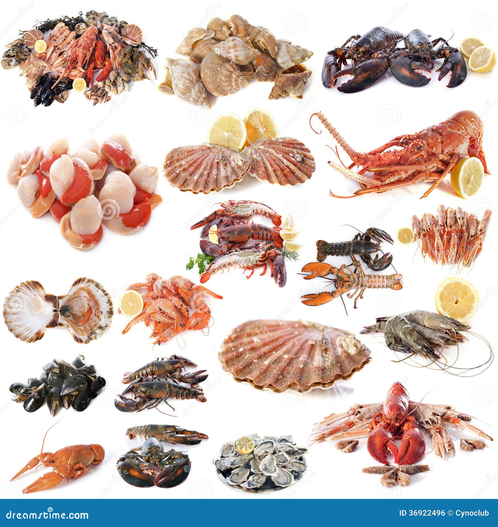 Marisco e marisco foto de stock. Imagem de alimento, lagostas - 36922496