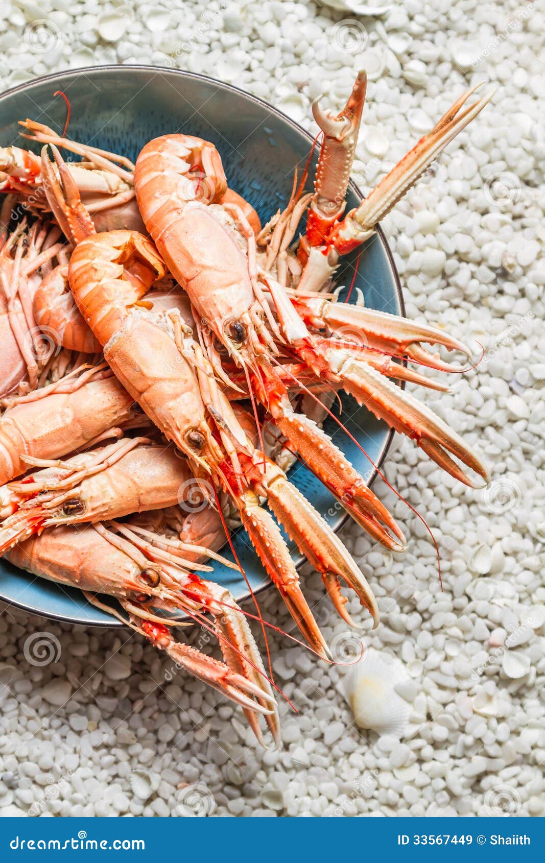 Marisco Fresco Em Linha Reta Do Mar Imagem de Stock - Imagem de cultura ...