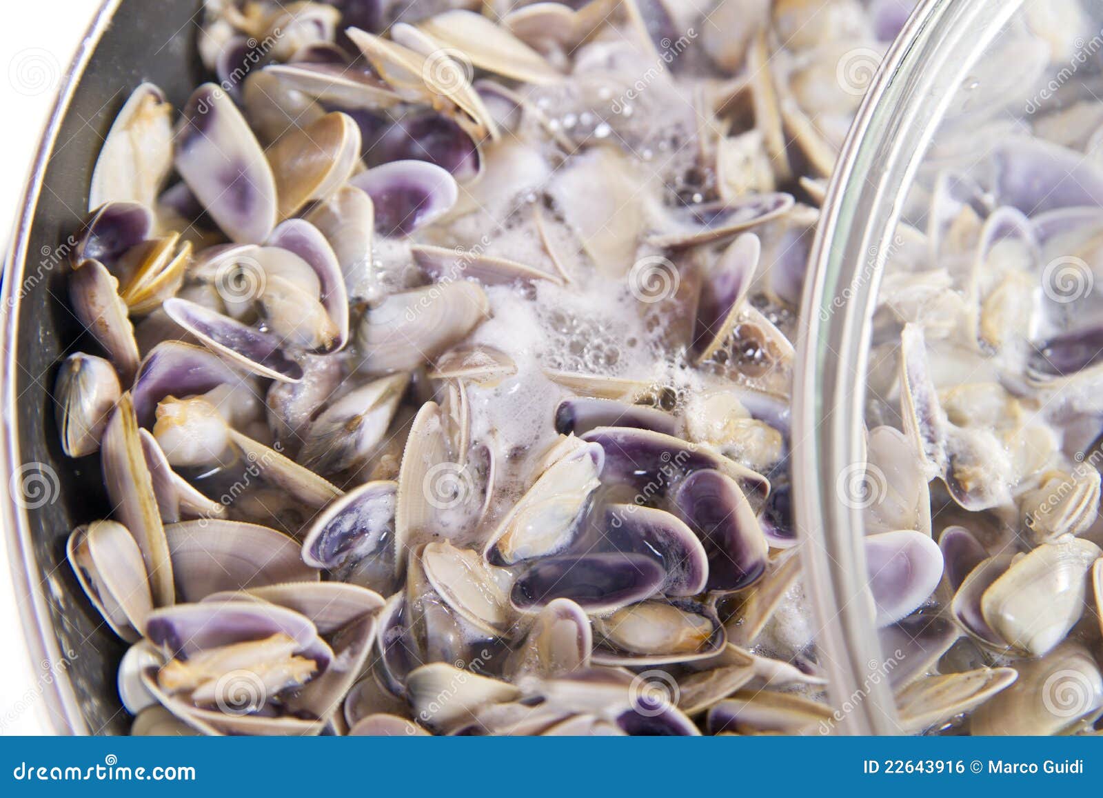 Marisco, moluscos foto de stock. Imagem de porta, cozinheiro - 22643916