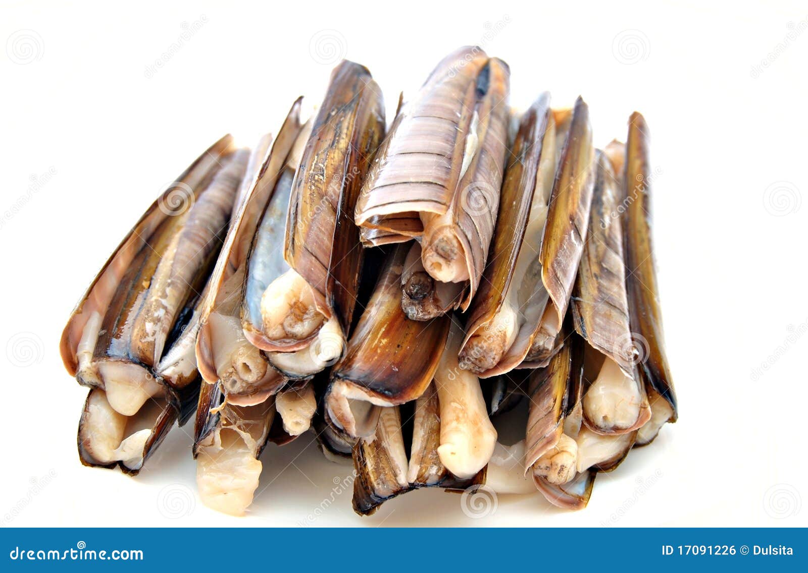 Mariscos foto de archivo. Imagen de ensalada, travieso - 17091226