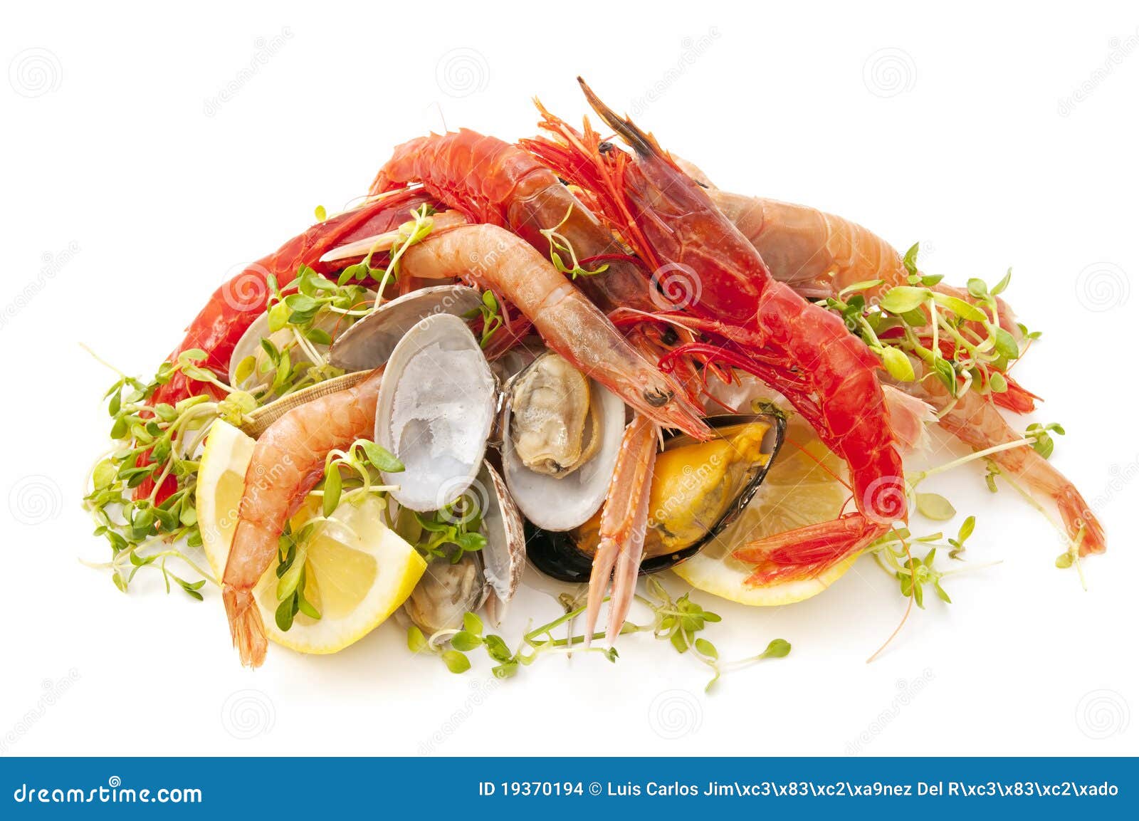 Mariscos foto de archivo. Imagen de animales, aislado - 19370194