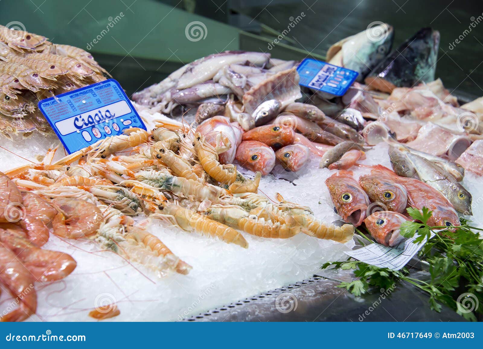 Mariscos imagen de archivo editorial. Imagen de anchoas - 46717649