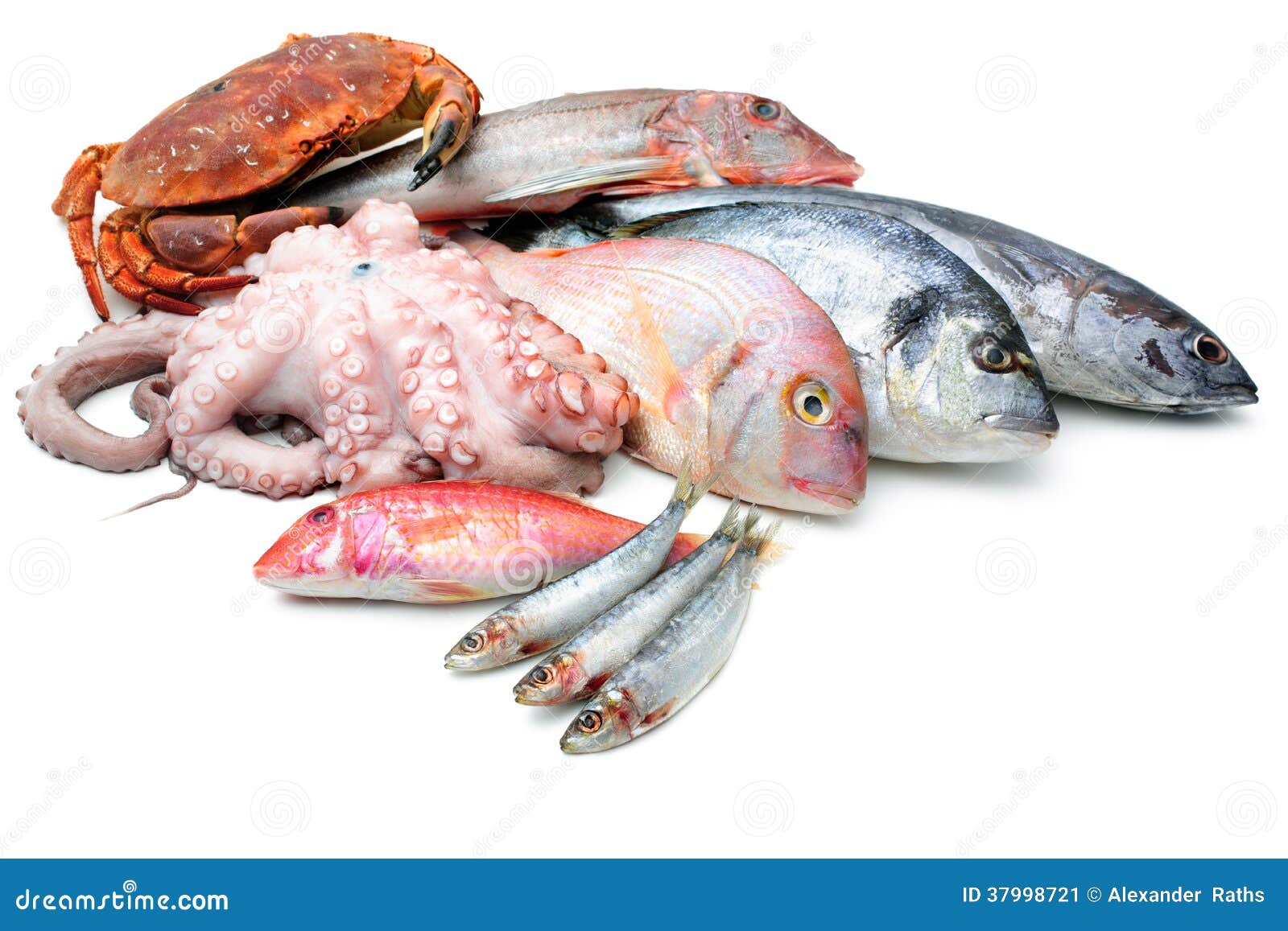 Mariscos Aislados En El Fondo Blanco Imagen de archivo - Imagen de ...