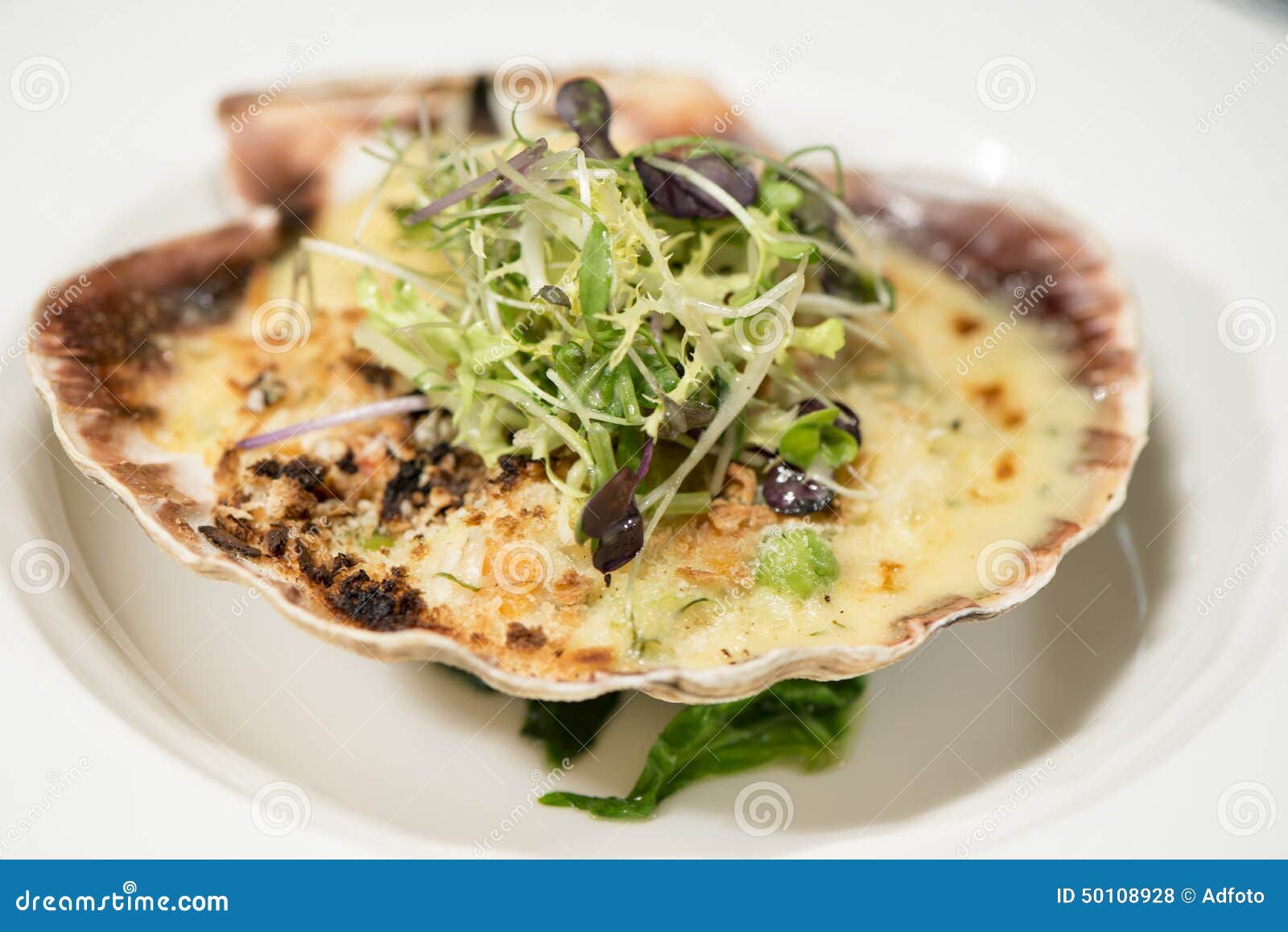 Mariscos - Concha De Peregrino Cocida En Shell Foto de archivo - Imagen ...