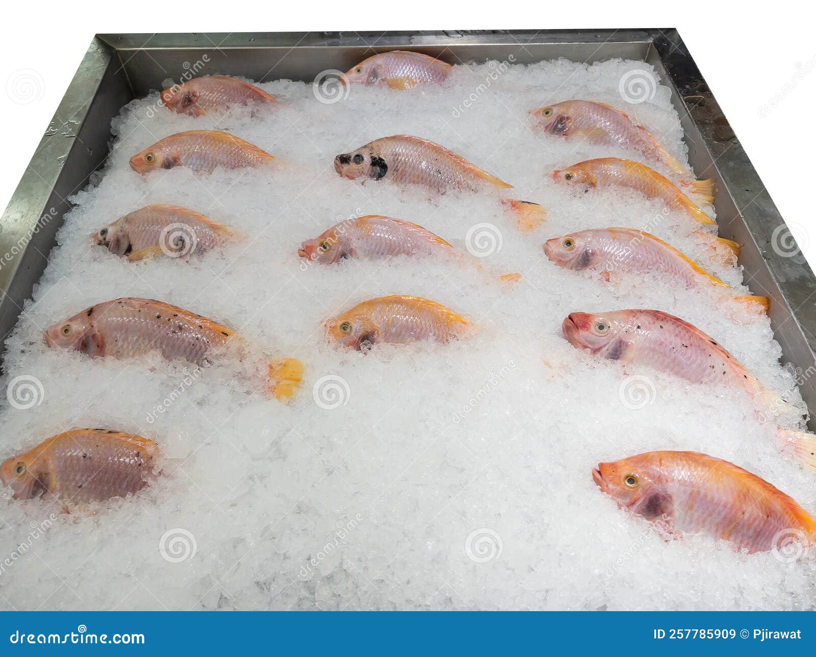 Mariscos En Hielo En El Mercado De Pescado Imagen de archivo - Imagen ...
