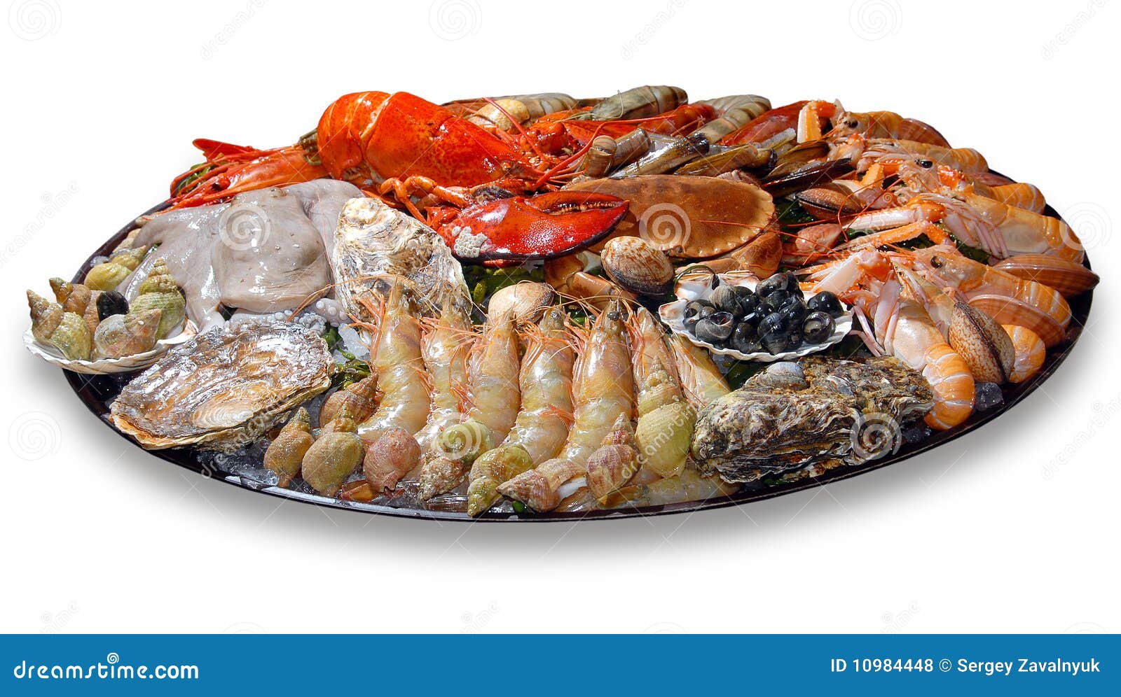 Mariscos frescos foto de archivo. Imagen de calamares - 10984448