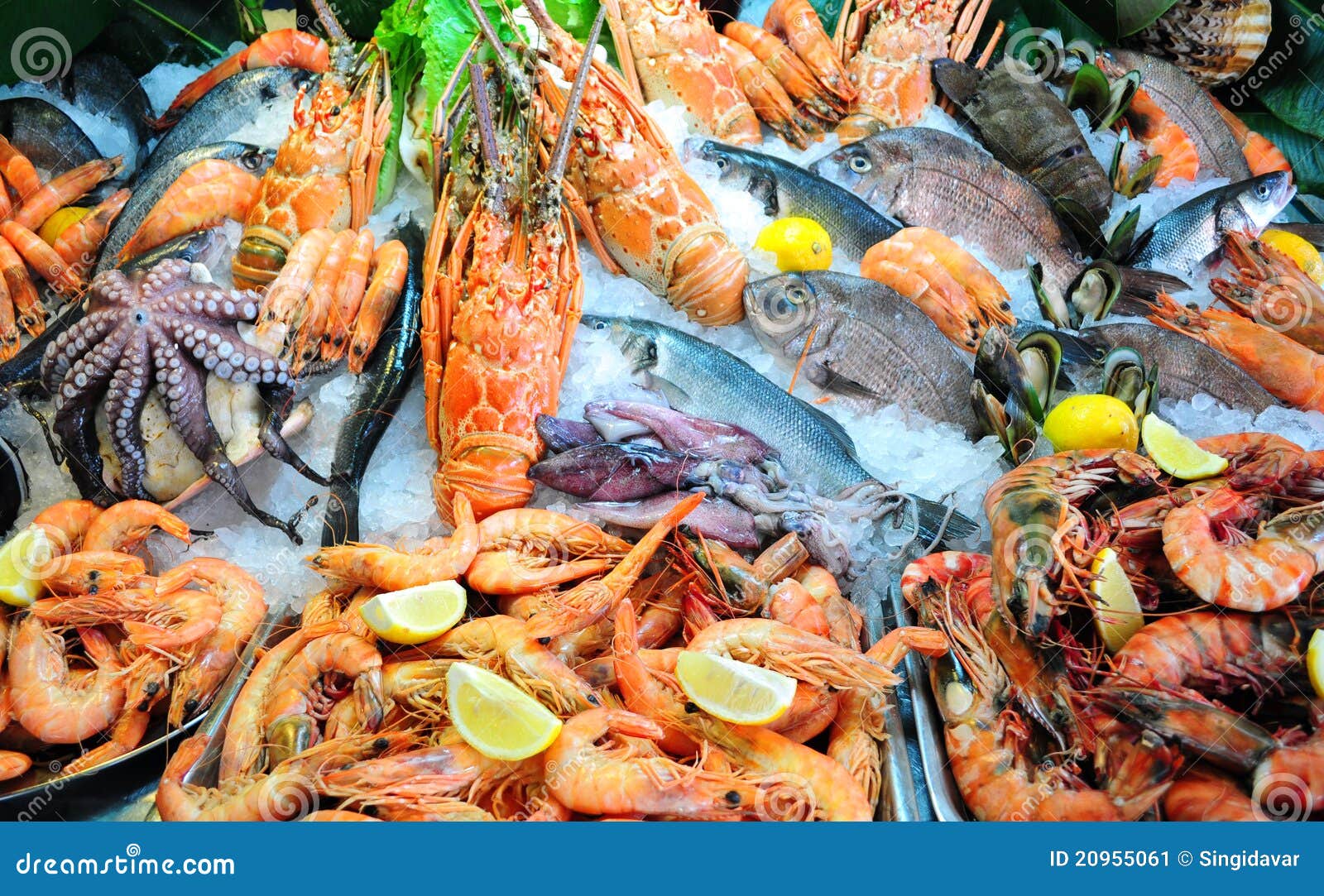 Mariscos Frescos Imagen de archivo - Imagen: 20955061