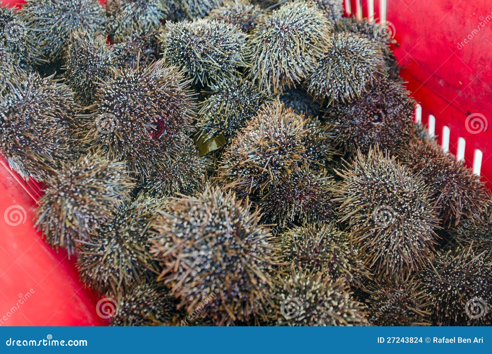 Kinas Fotos de stock - Fotos libres de regalías de Dreamstime