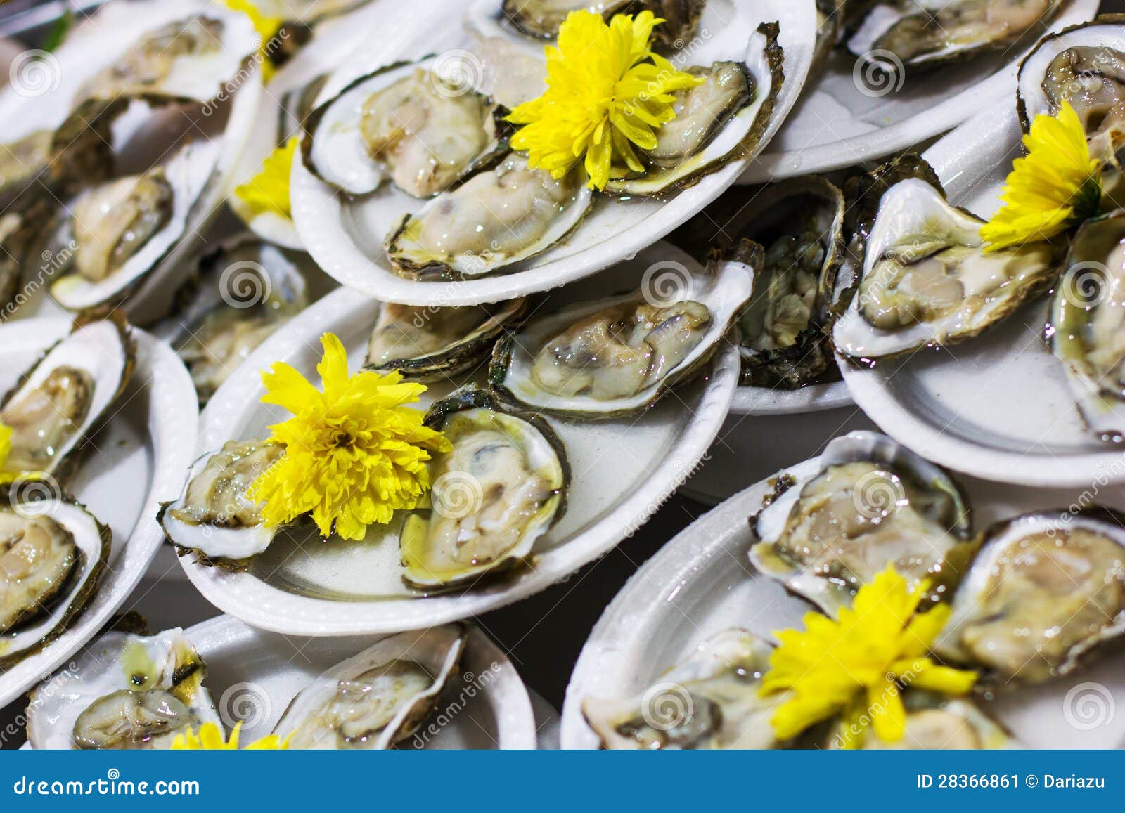 Mariscos, Ostra (crustáceos) Imagen de archivo - Imagen de comida ...