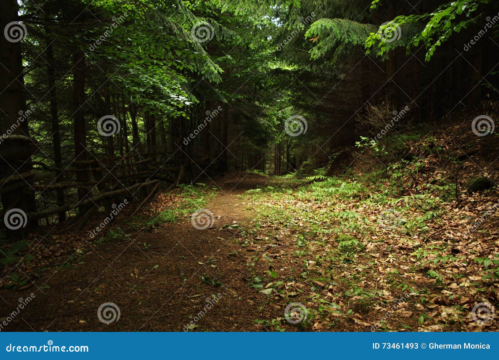 Marisel Town Royalty-Free Stock Image | CartoonDealer.com #73458676