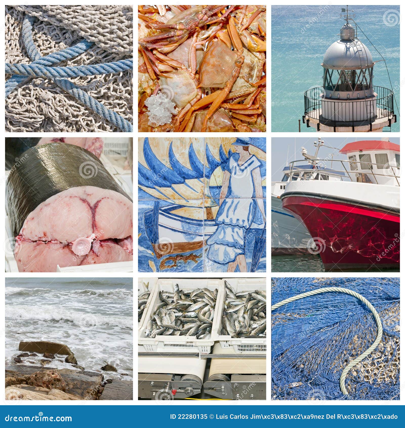 Maritime collage stock image. Image of boat, crabs, nutrition - 22280135