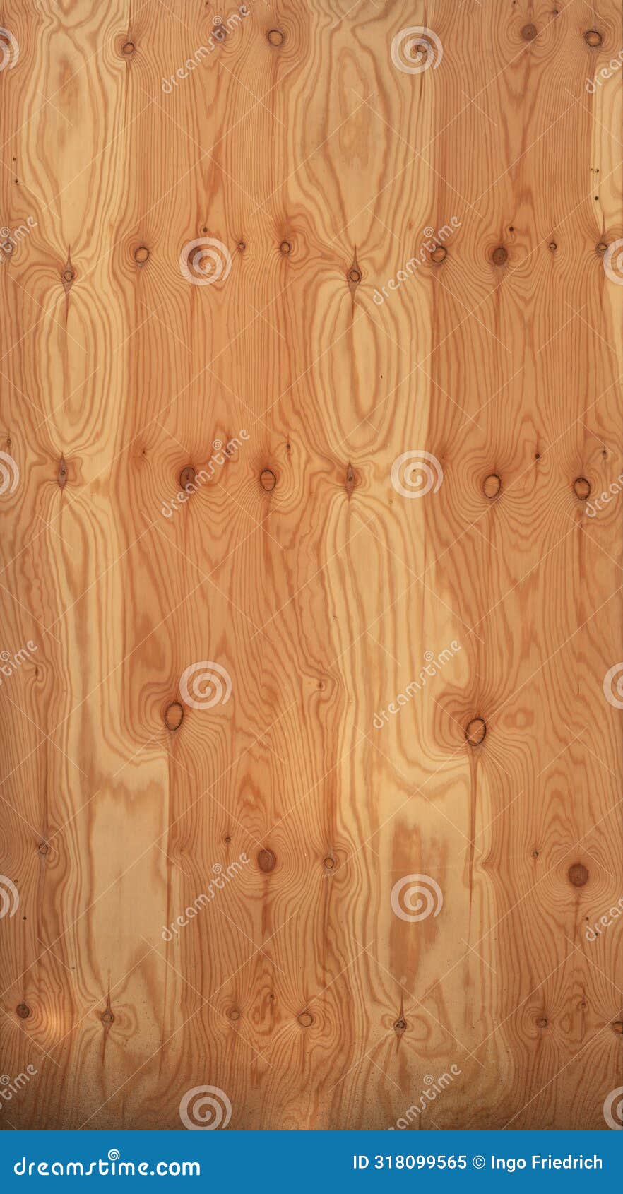 Maritime Pine Wall Plywood Texture Stock Image - Image of carpentry, material: 318099565