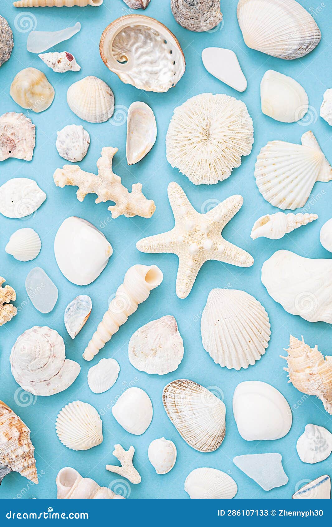 Maritime Summery Pattern. Seashells, Starfish, Coral Various Beach ...